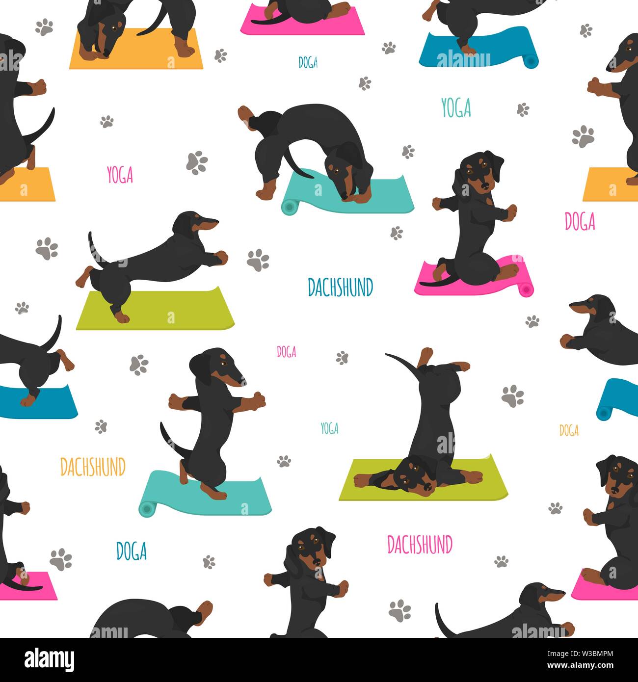 Yoga dogs poses and exercises. Dachshund seamless pattern. Vector ...