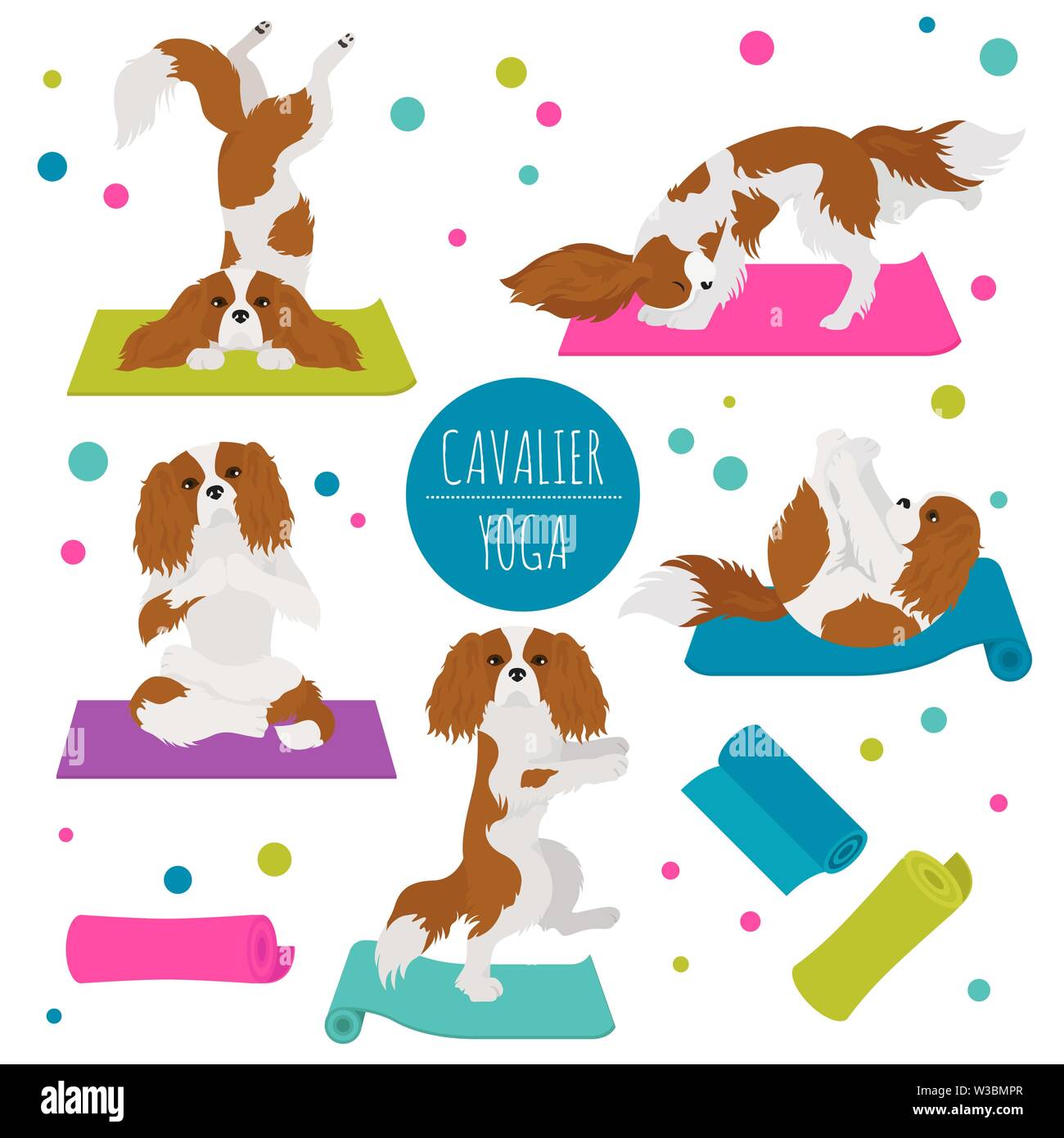 Yoga dogs poses and exercises. Cavalier King Charles spaniel clipart ...