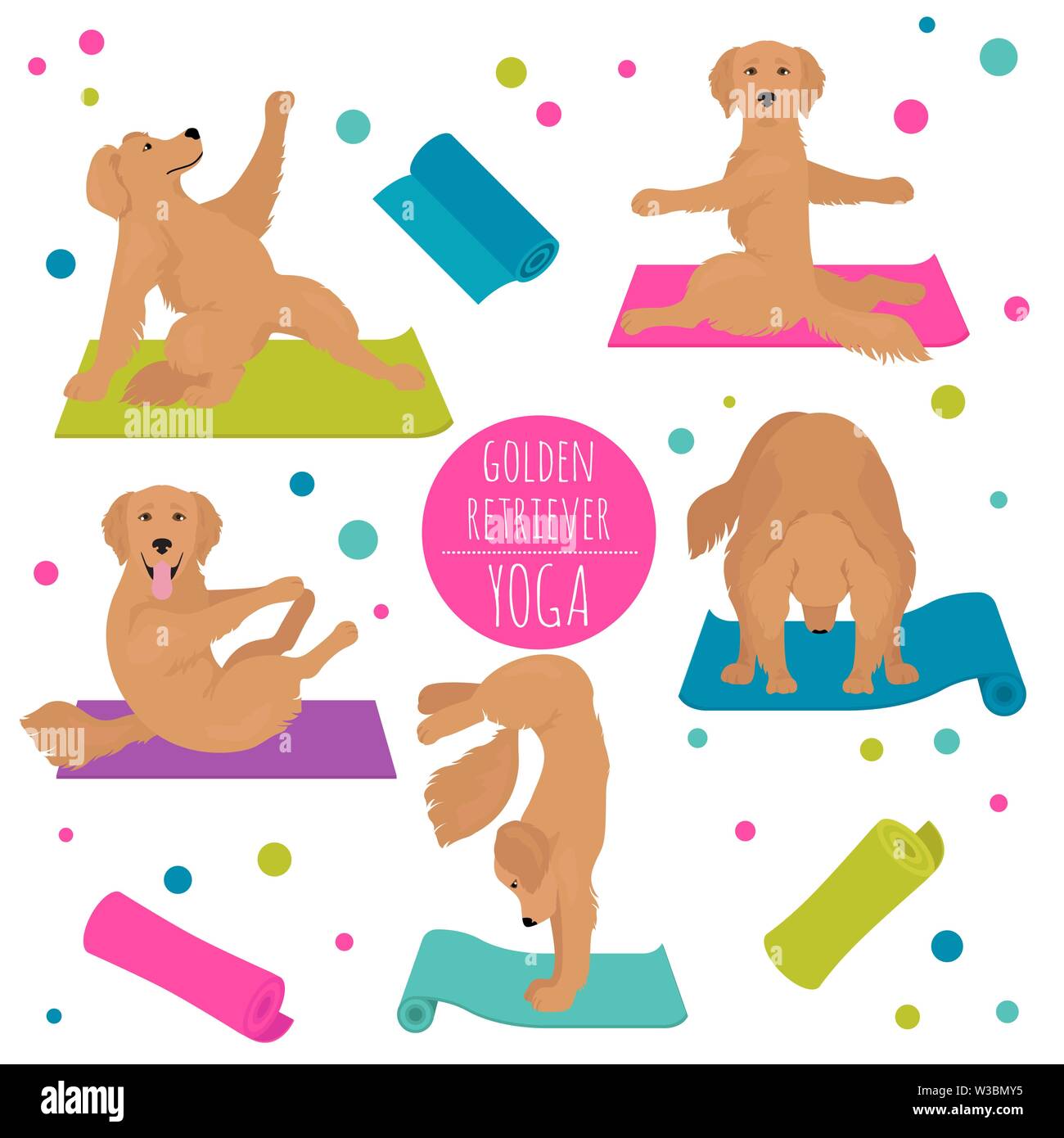 Yoga dogs poses and exercises. Golden retriever clipart. Vector ...