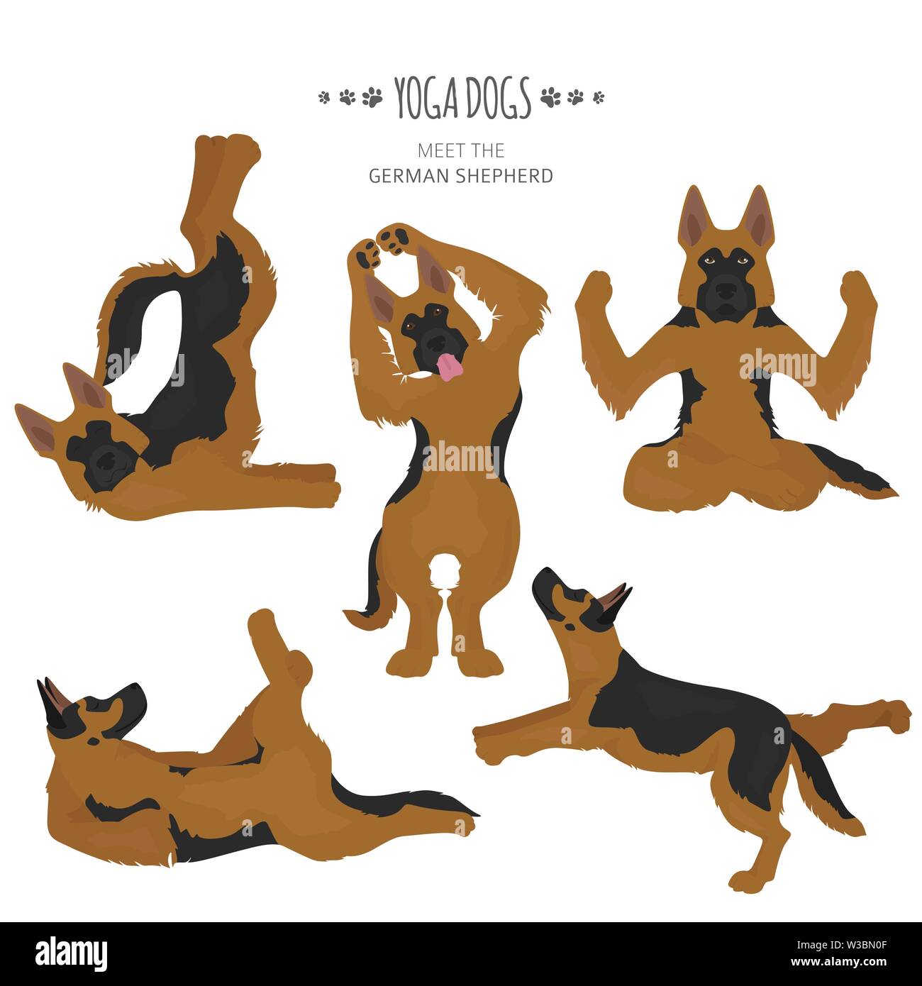 Yoga dogs poses exercises hi-res stock photography and images - Alamy