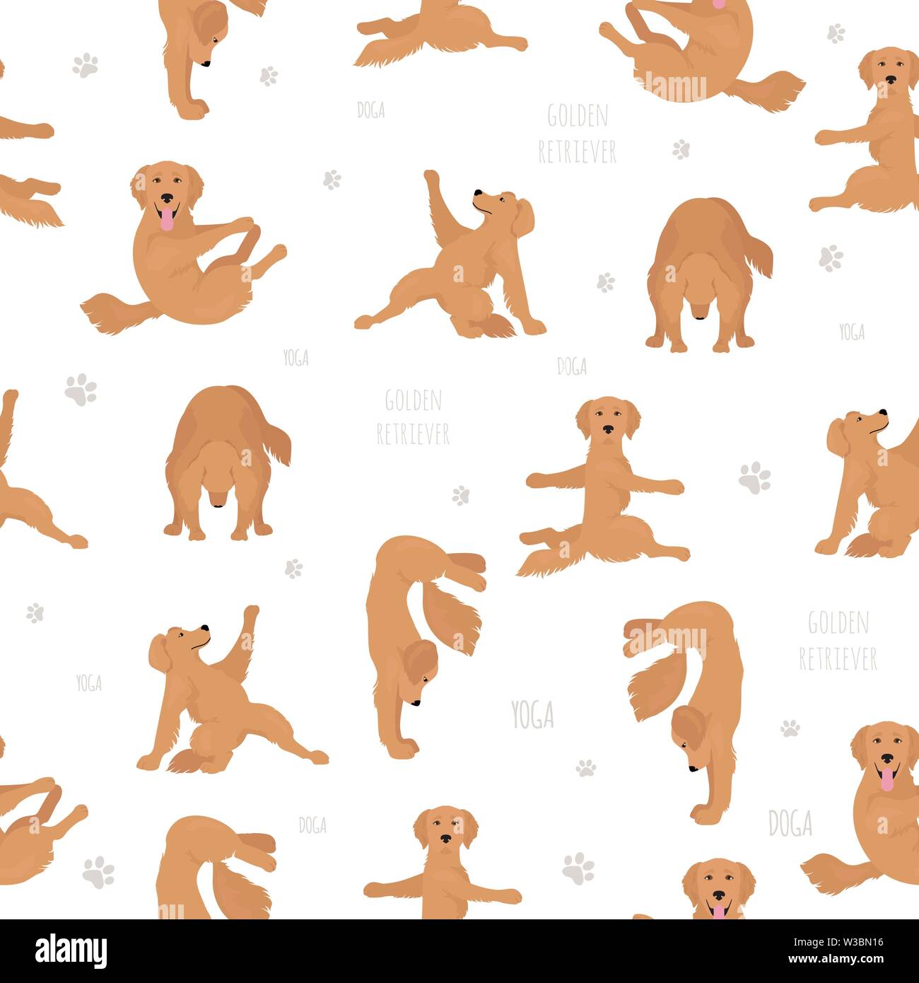 Yoga dogs poses and exercises. Golden retriever seamless pattern ...