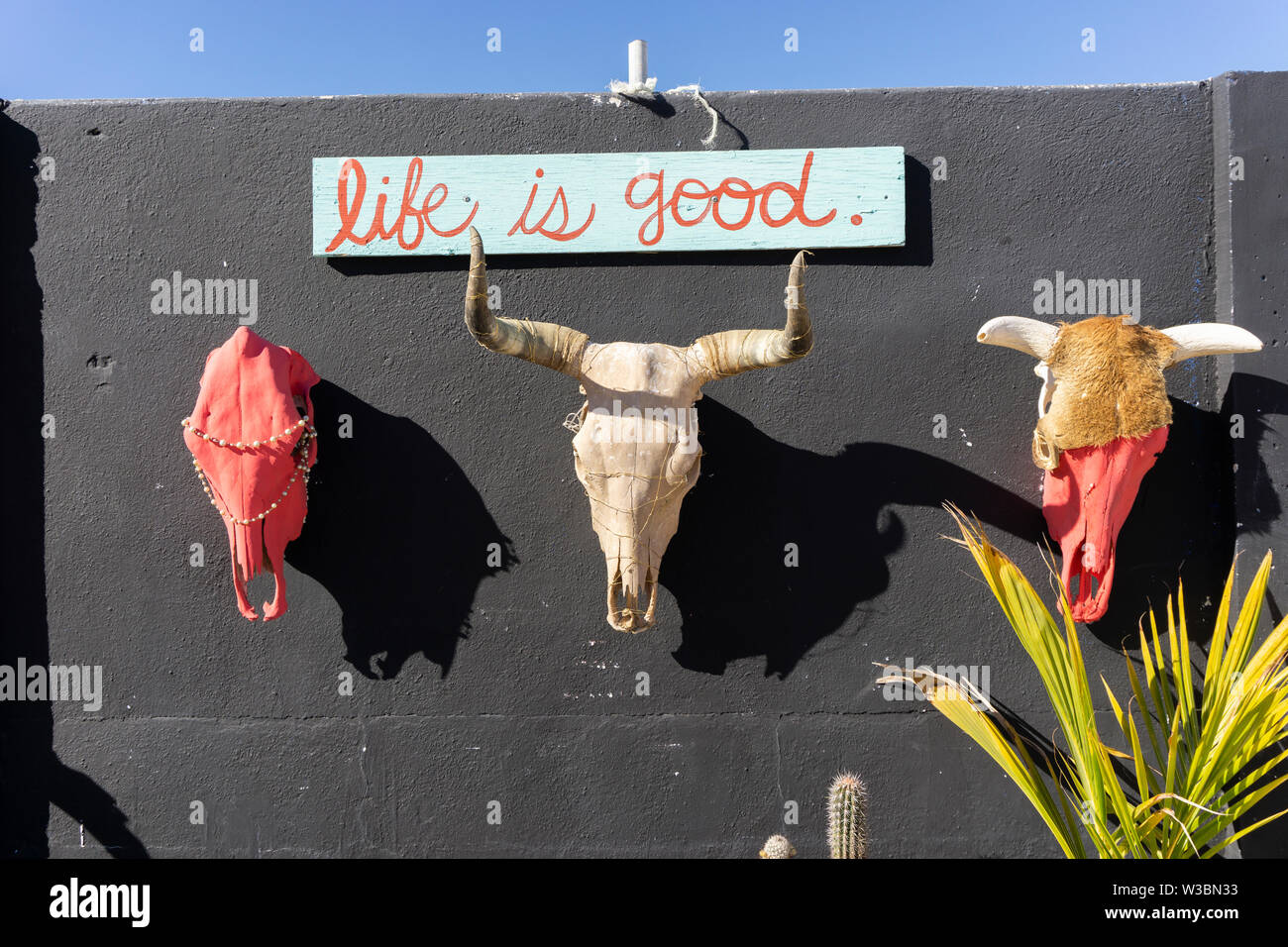 wall with a sign saying that life is good and cow skulls Stock Photo ...