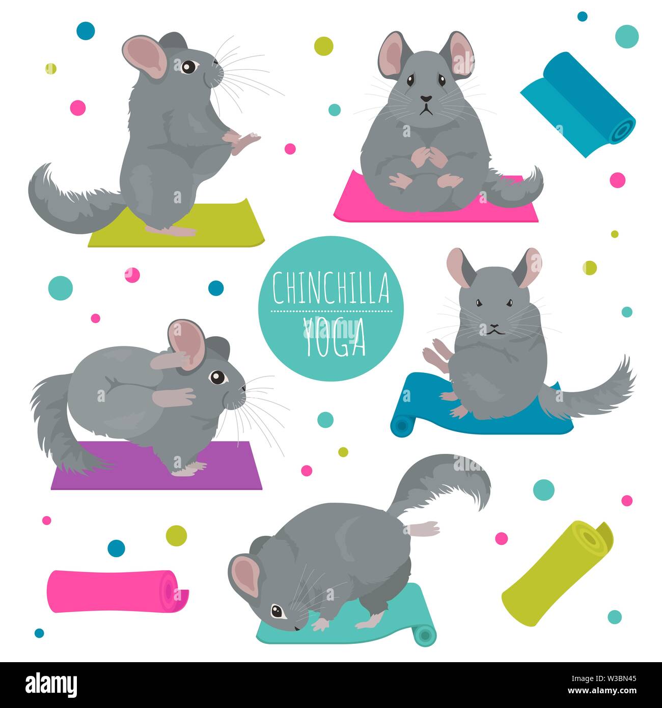 Chinchilla yoga poses and exercises. Cute cartoon clipart set. Vector ...