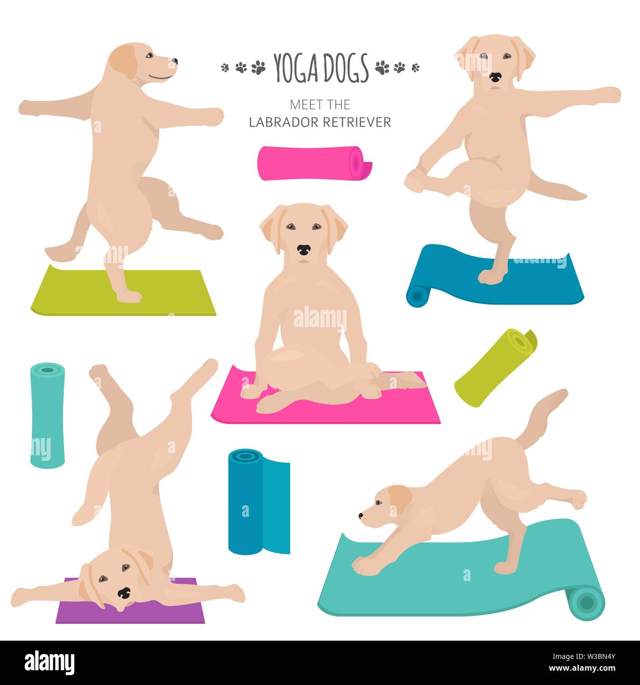 Yoga dogs poses and exercises. Labrador retriever clipart. Vector ...