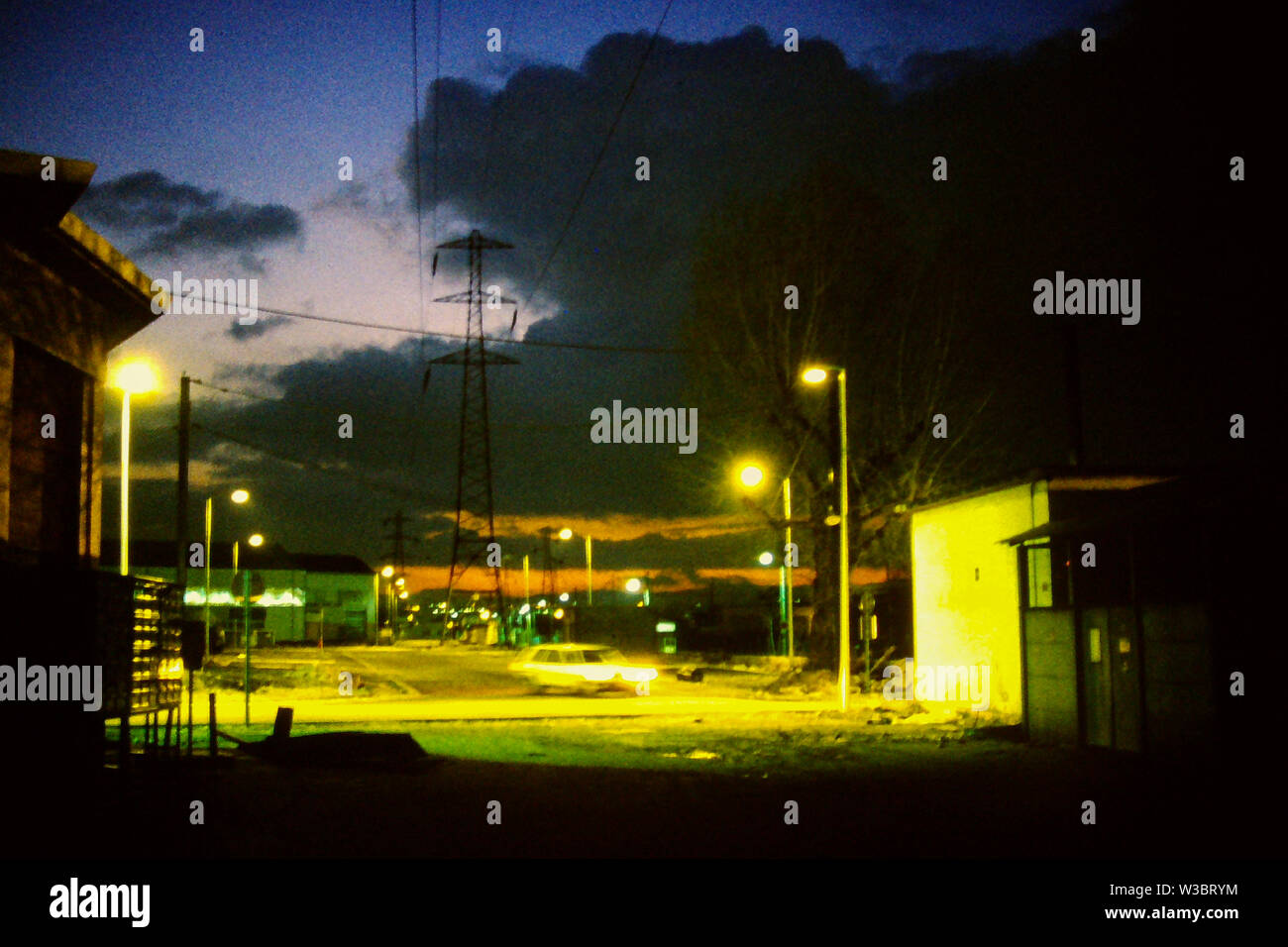 Mad killer dogs hi-res stock photography and images - Alamy