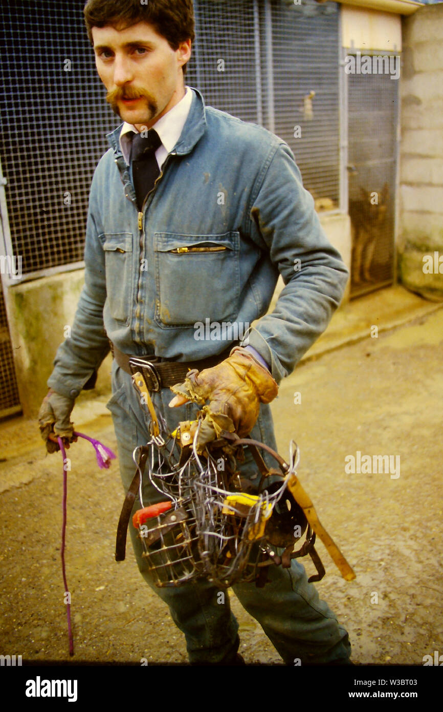 Mad killer dogs hi-res stock photography and images - Alamy