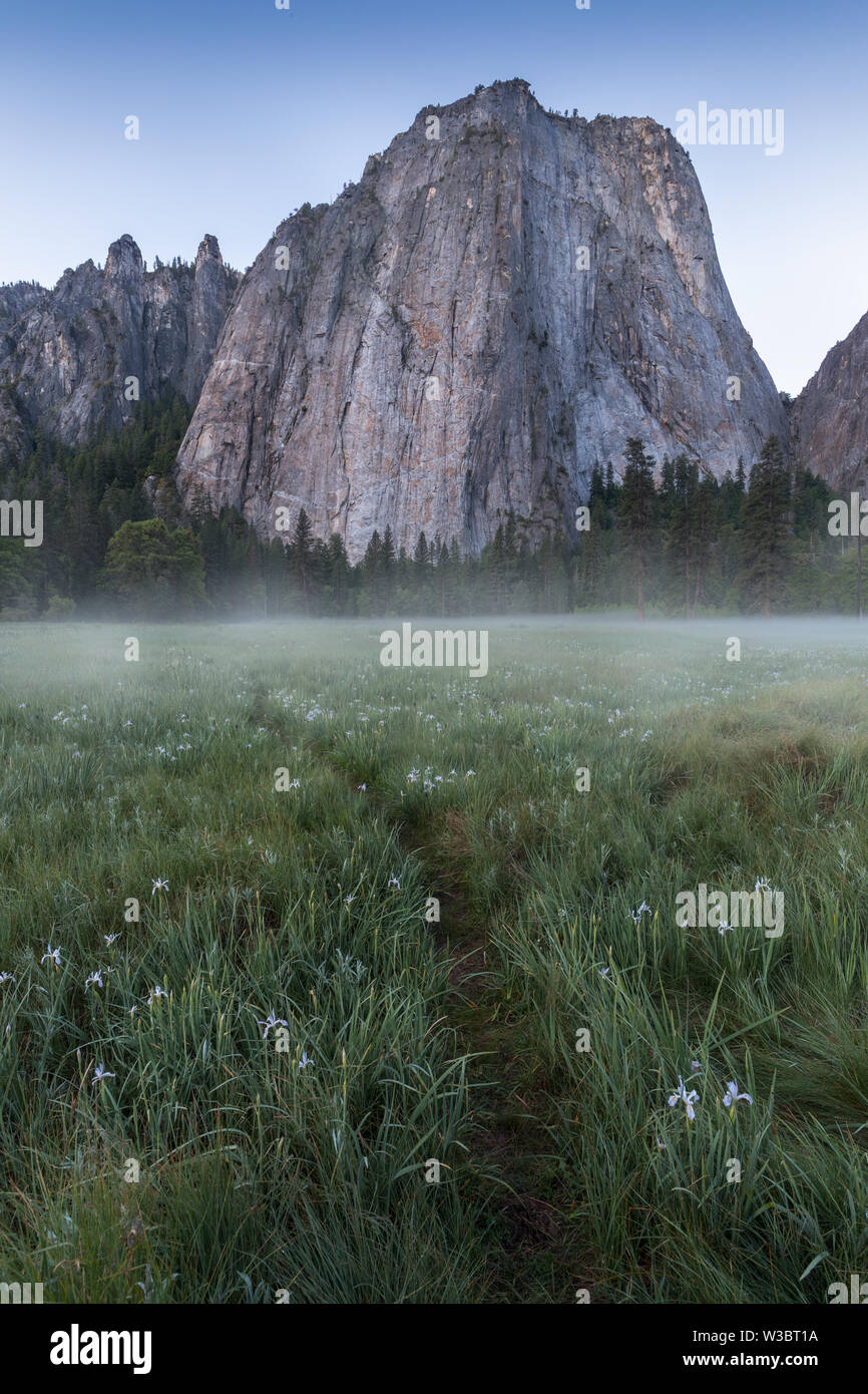 Cathedral Rocks and Cathedral Spires in the Yosemite Valley in ...