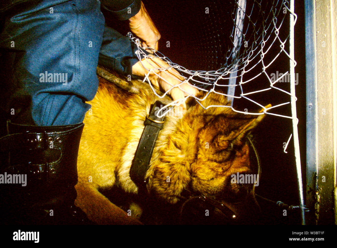 Zonn 4 a security firm using mad killer dogs, Lyon, France Stock Photo ...