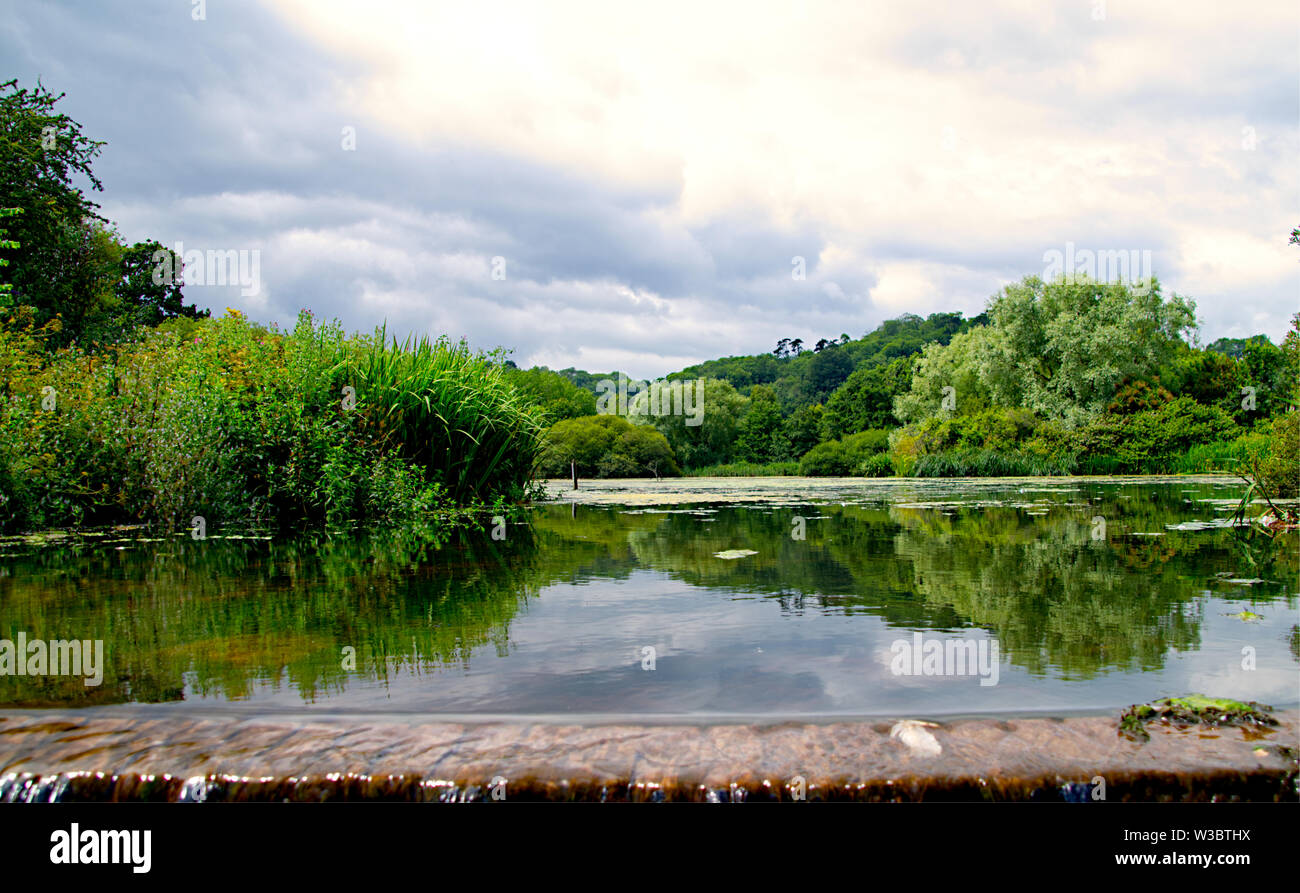 Water resources and natural environment hi-res stock photography and ...