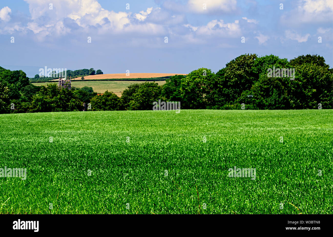 Walks in devon hi-res stock photography and images - Alamy