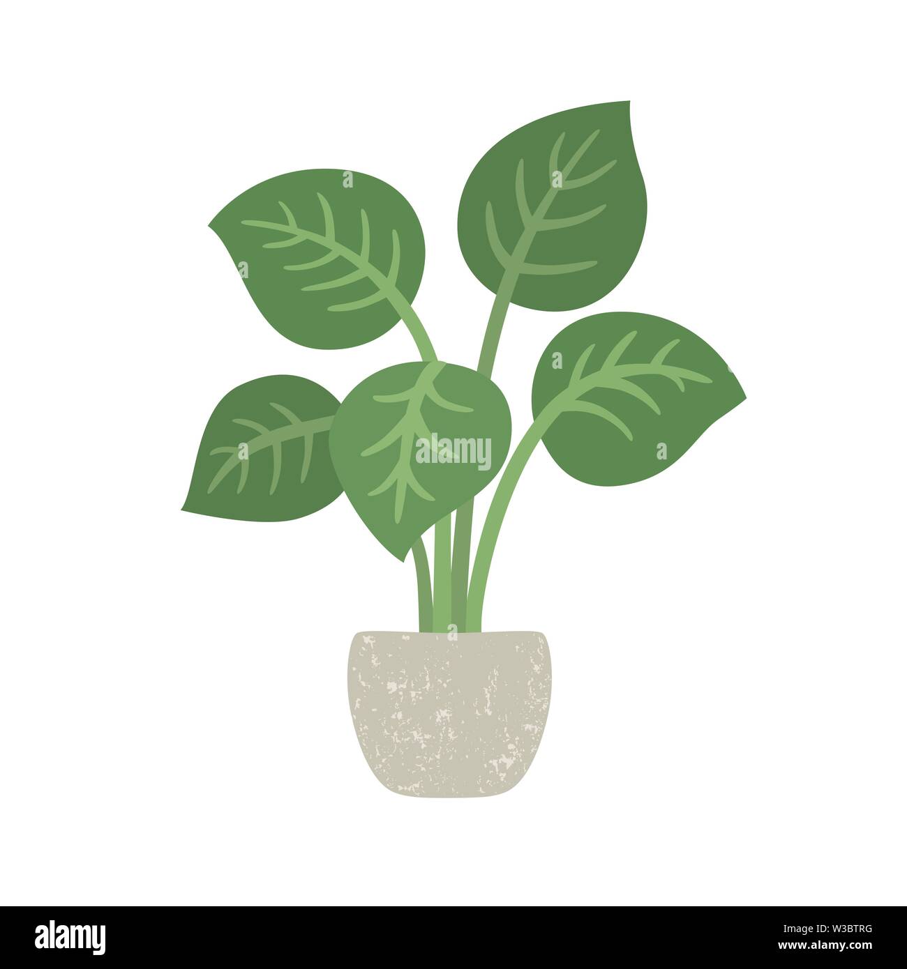 Tropical potted houseplant Cut Out Stock Images & Pictures - Alamy