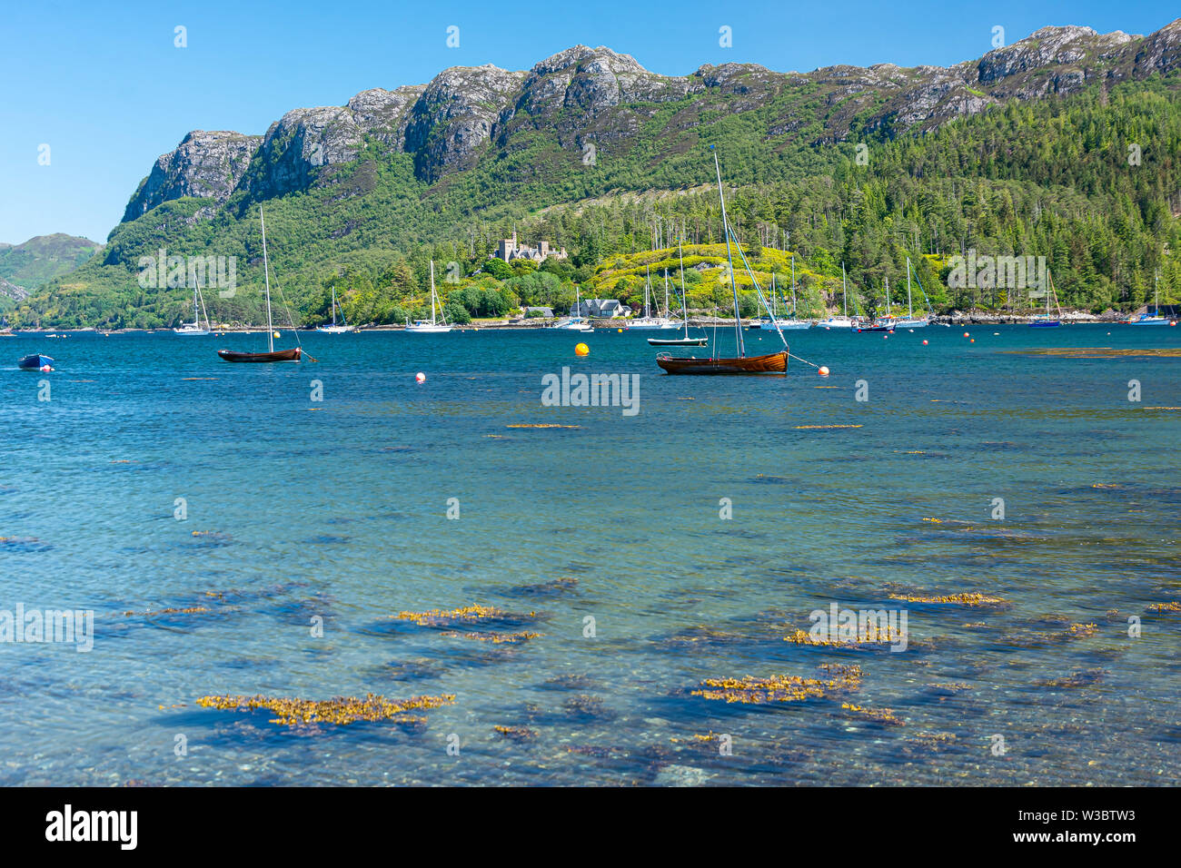 Plockton palm trees hi-res stock photography and images - Alamy