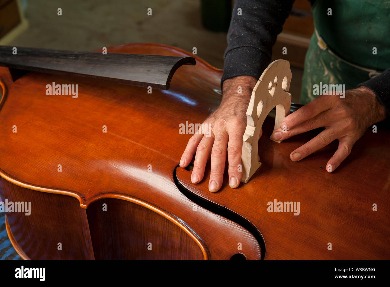 The master luthier builds a doublebass in his workshop Stock Photo - Alamy