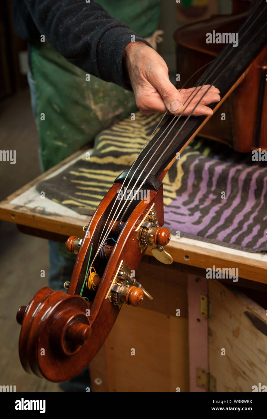 The master luthier builds a doublebass in his workshop Stock Photo - Alamy