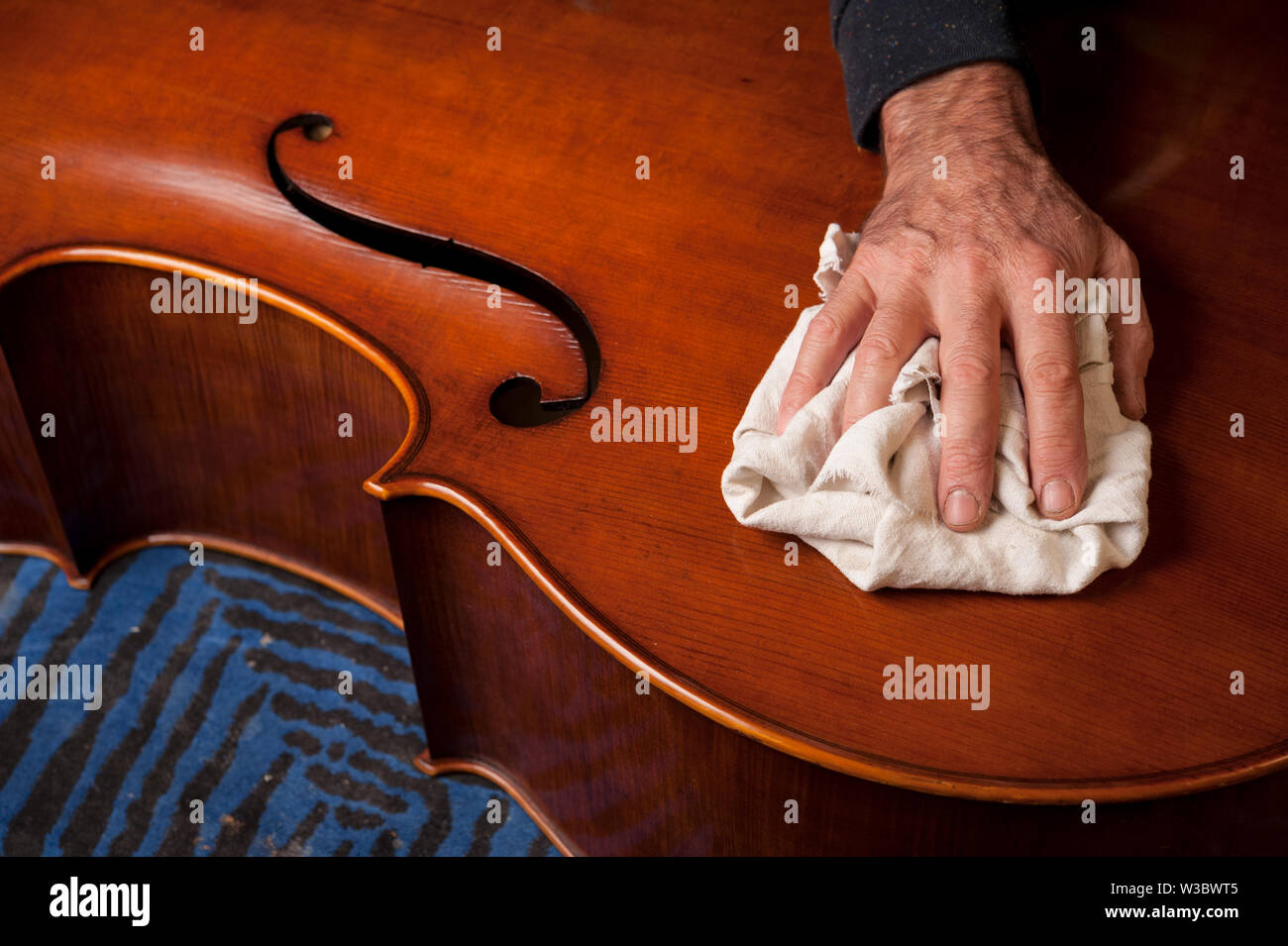 The master luthier builds a doublebass in his workshop Stock Photo - Alamy