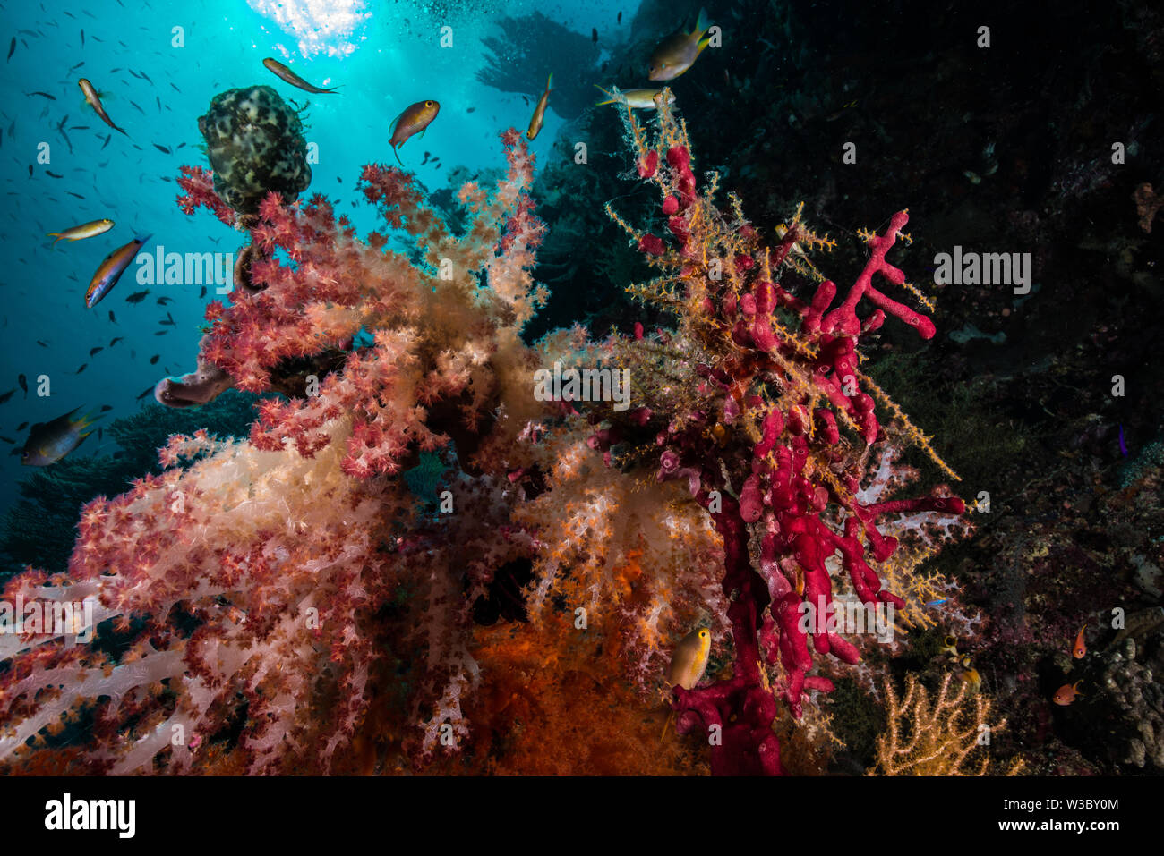 Point of triangle area hi-res stock photography and images - Alamy