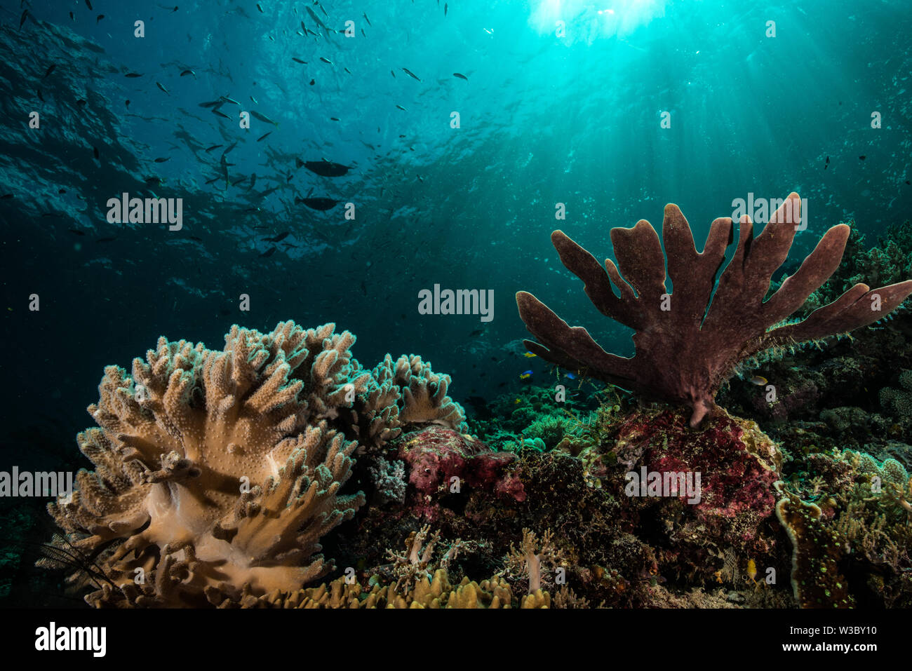 Point of triangle area hi-res stock photography and images - Alamy