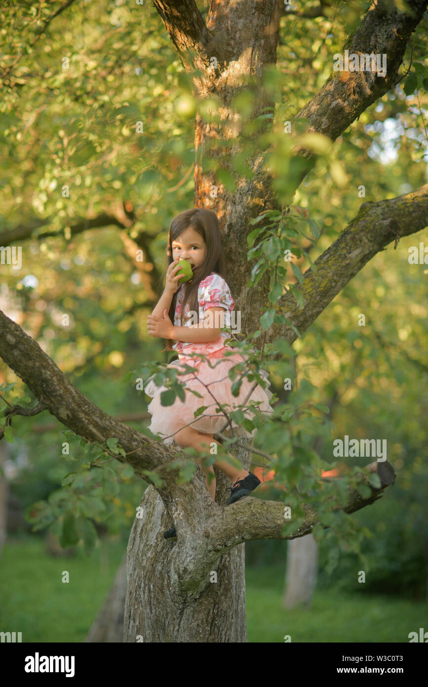 Child with fruit on apple tree, vitamin. Little girl eat apple on tree ...