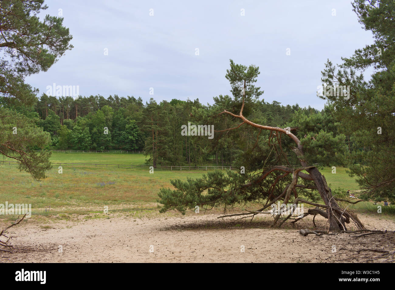 Buckow brandenburg germany hi-res stock photography and images - Alamy