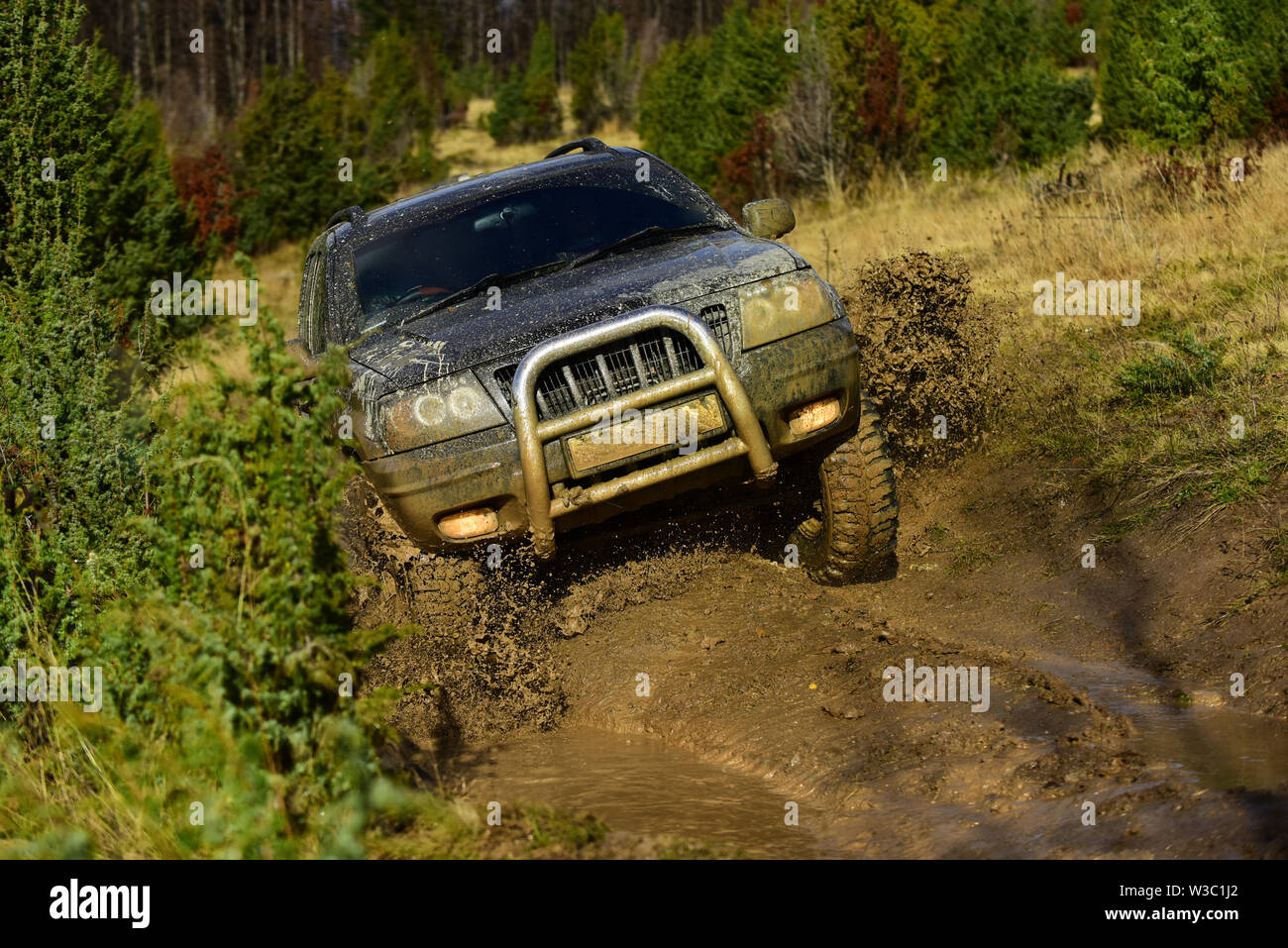 Car racing in autumn forest. Off road vehicle or SUV overcomes ...
