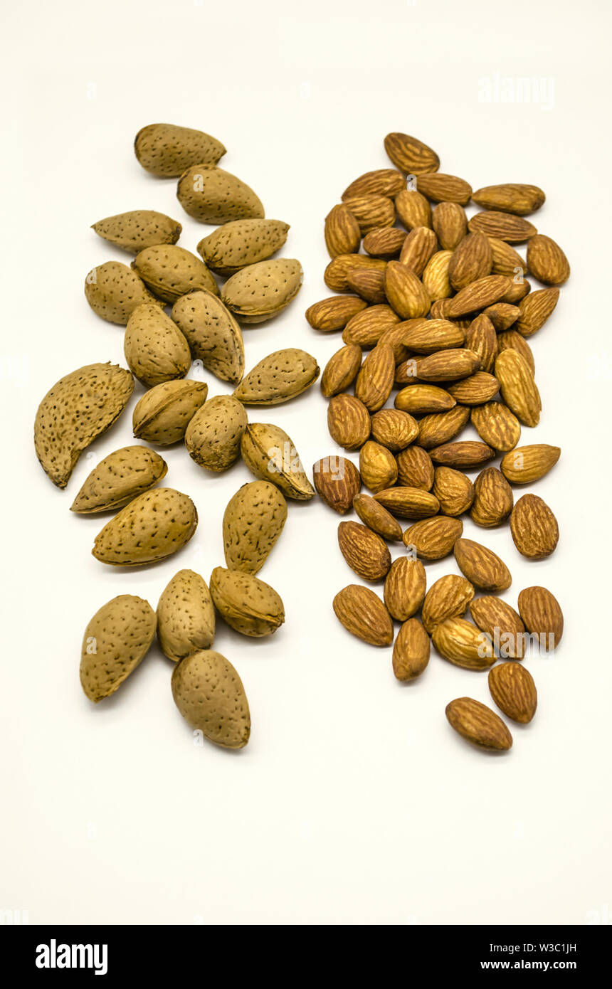 Nearby are groups of edible almond seeds in a shell and peeled ready-to ...