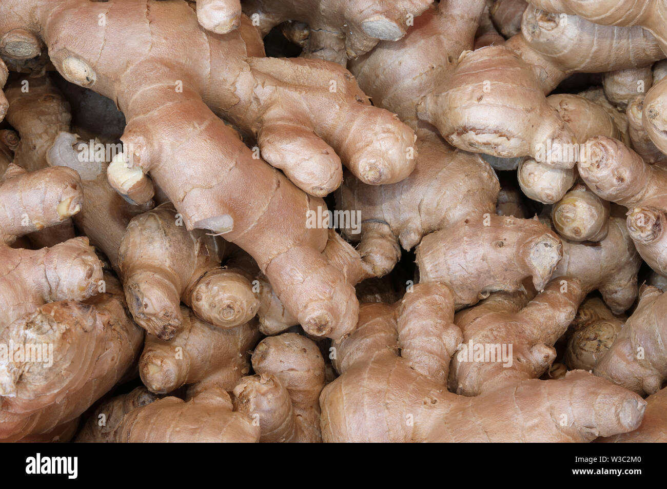 Plant roots soil ginger hi-res stock photography and images - Alamy