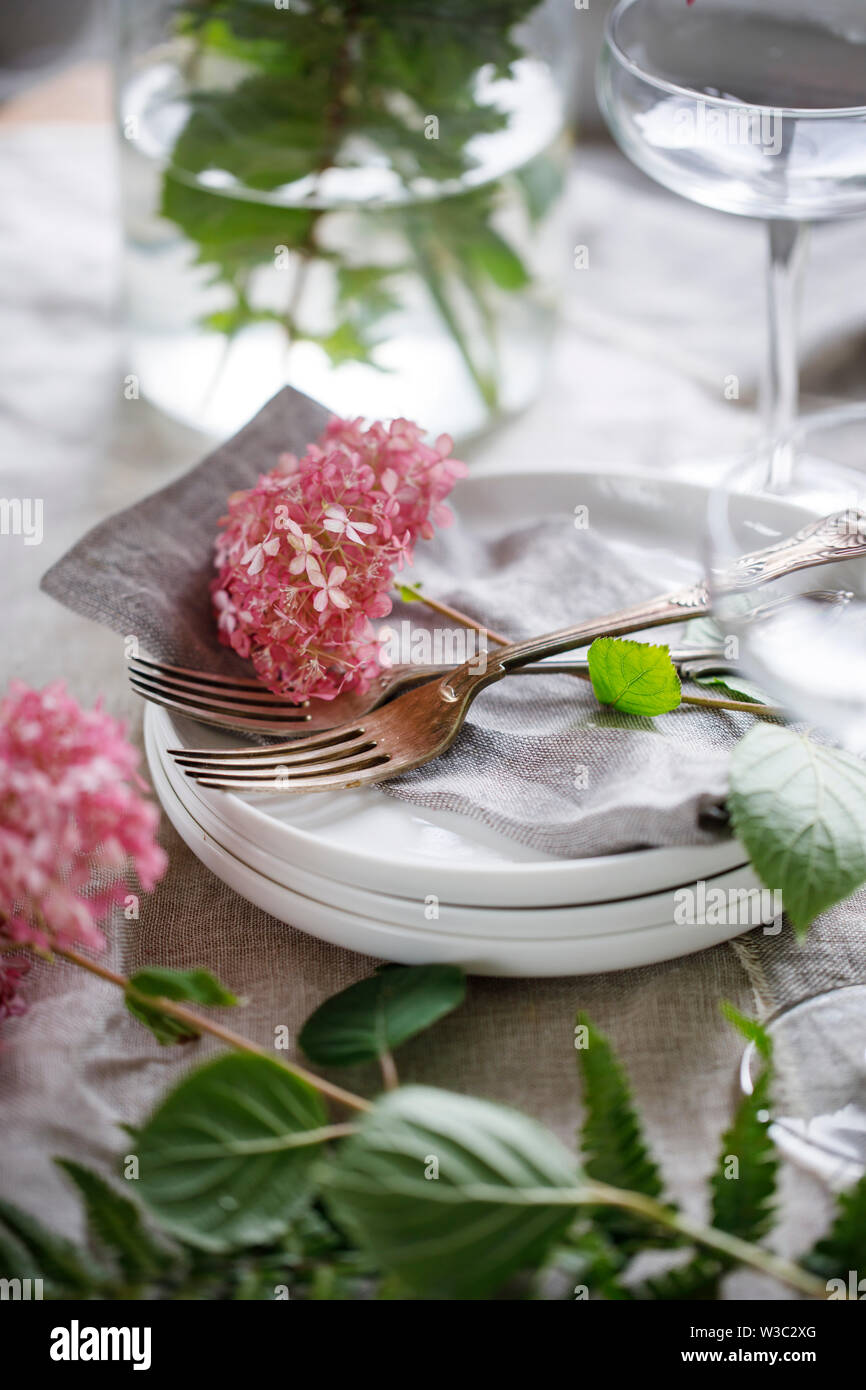 Pink plate hydrangea hi-res stock photography and images - Alamy