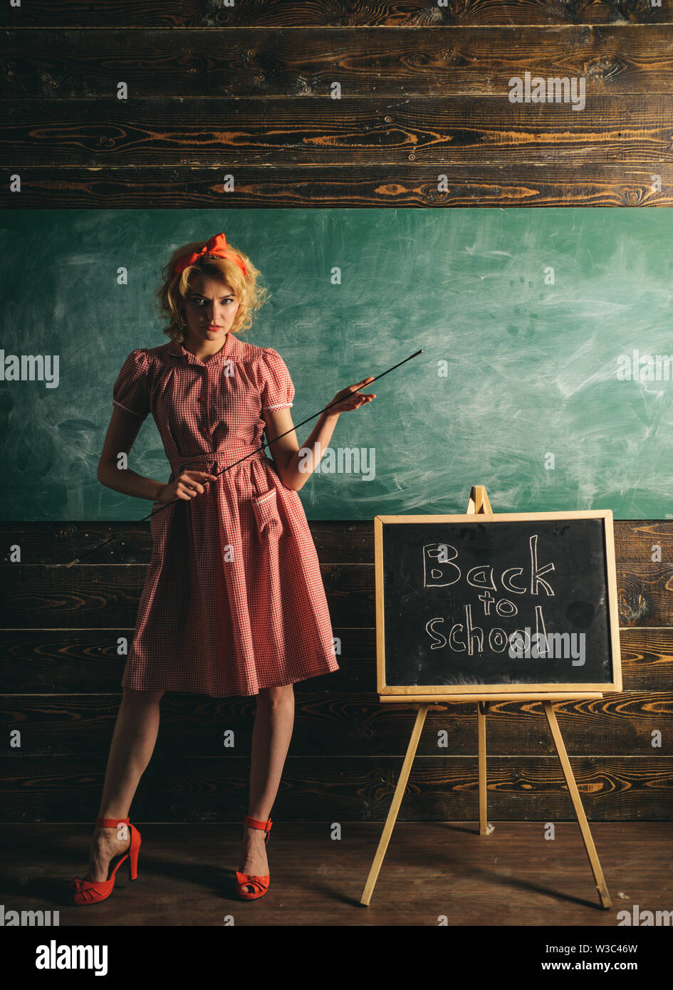 Pretty woman back to school in education class. Teacher or university ...