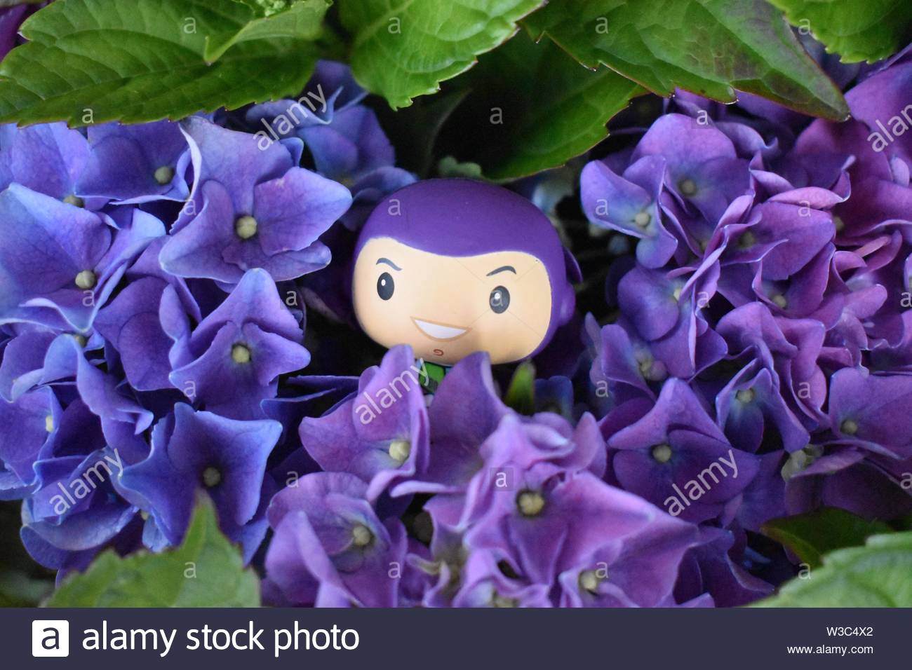 Pop It Toys High Resolution Stock Photography and Images - Alamy