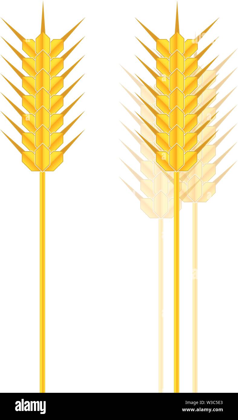 Wheat spike on white background. Vector illustration Stock Vector Image ...