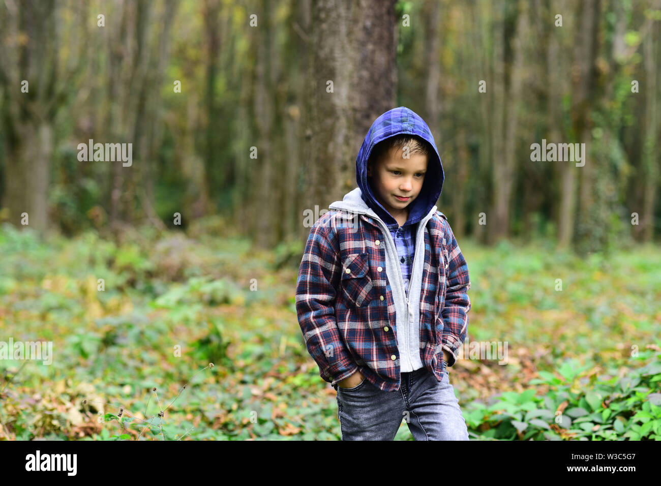 Fashion boy. Little kid in autumn forest. Kid with his own style ...