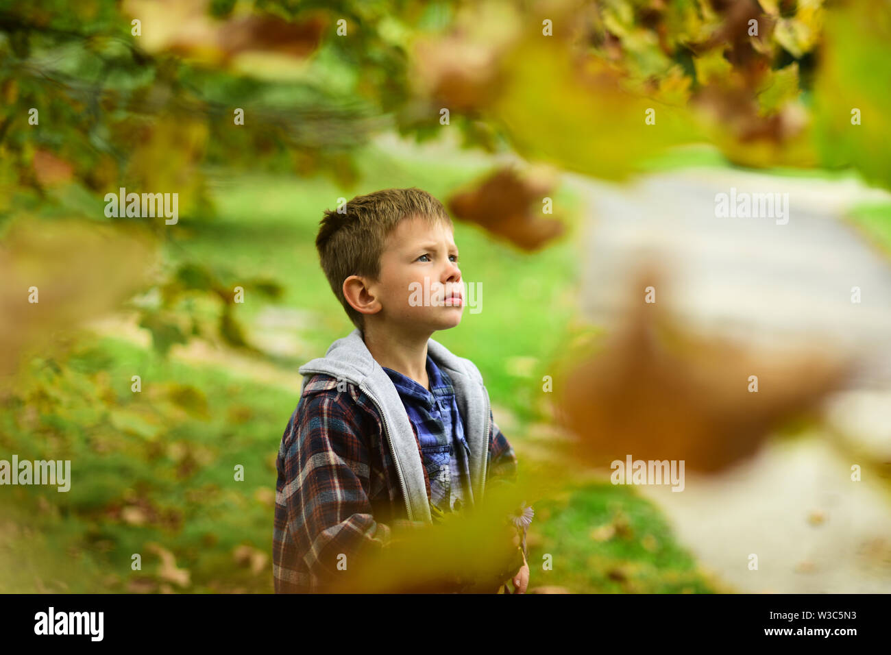 Hope and dreams. Little boy full of hope for bright future. Little boy ...
