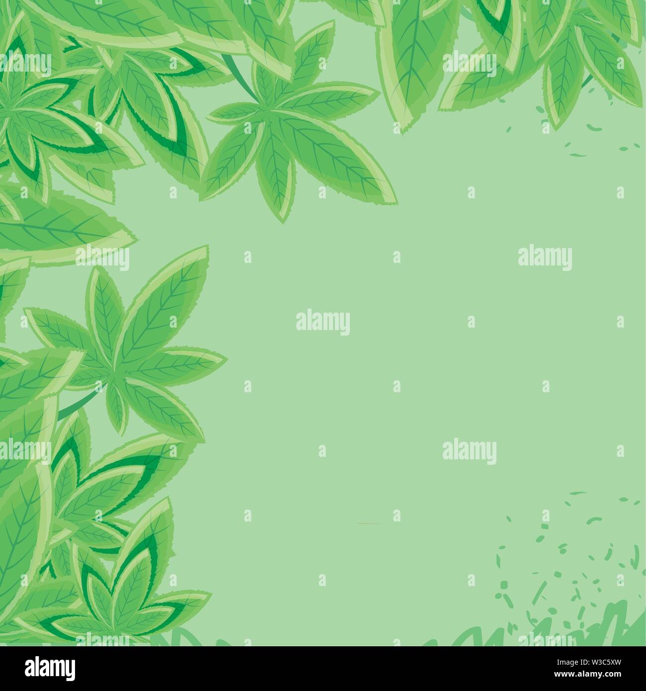 cannabis leafs plant nature frame vector illustration design Stock ...