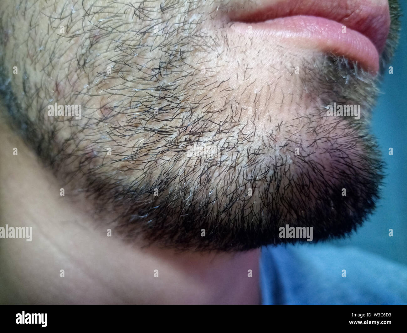 Bearded young man, stubble near. Unshaven more than a week. Hair on the ...