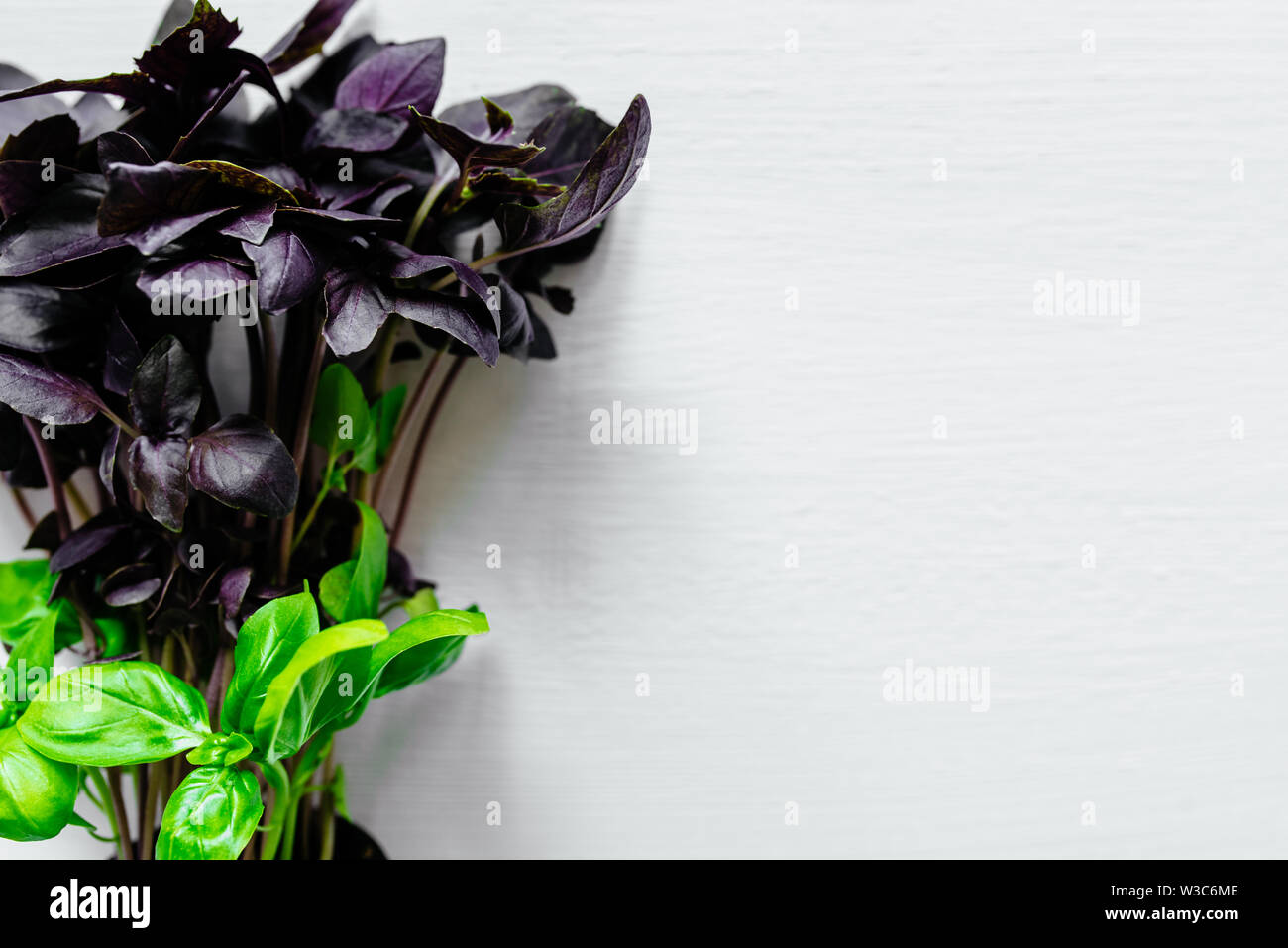 Purple basil in pot hi-res stock photography and images - Alamy