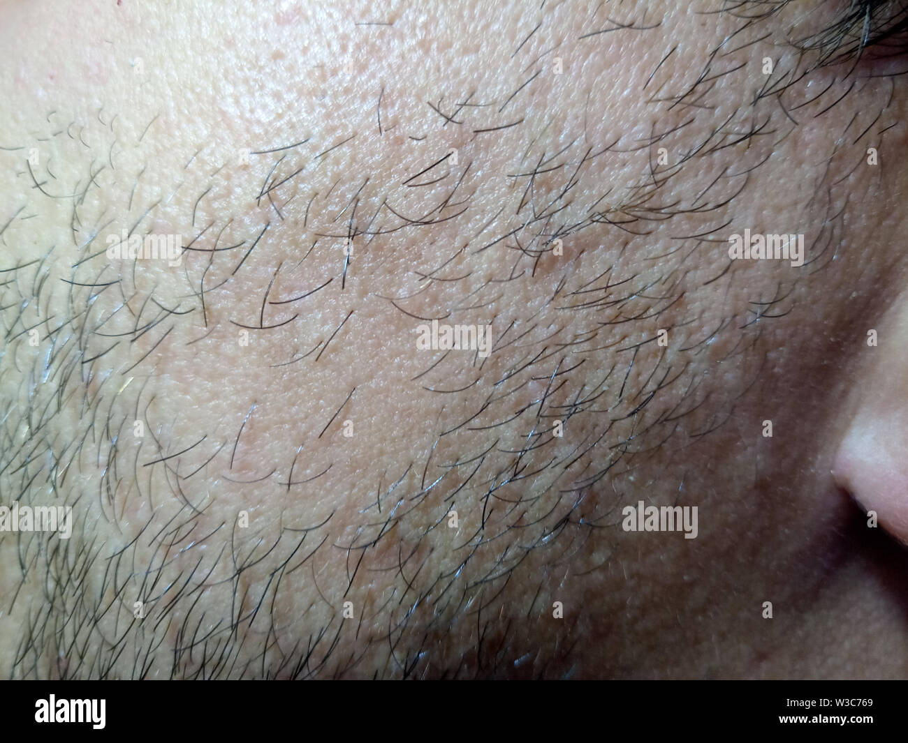 Bearded young man, stubble near. Unshaven more than a week. Hair on the ...