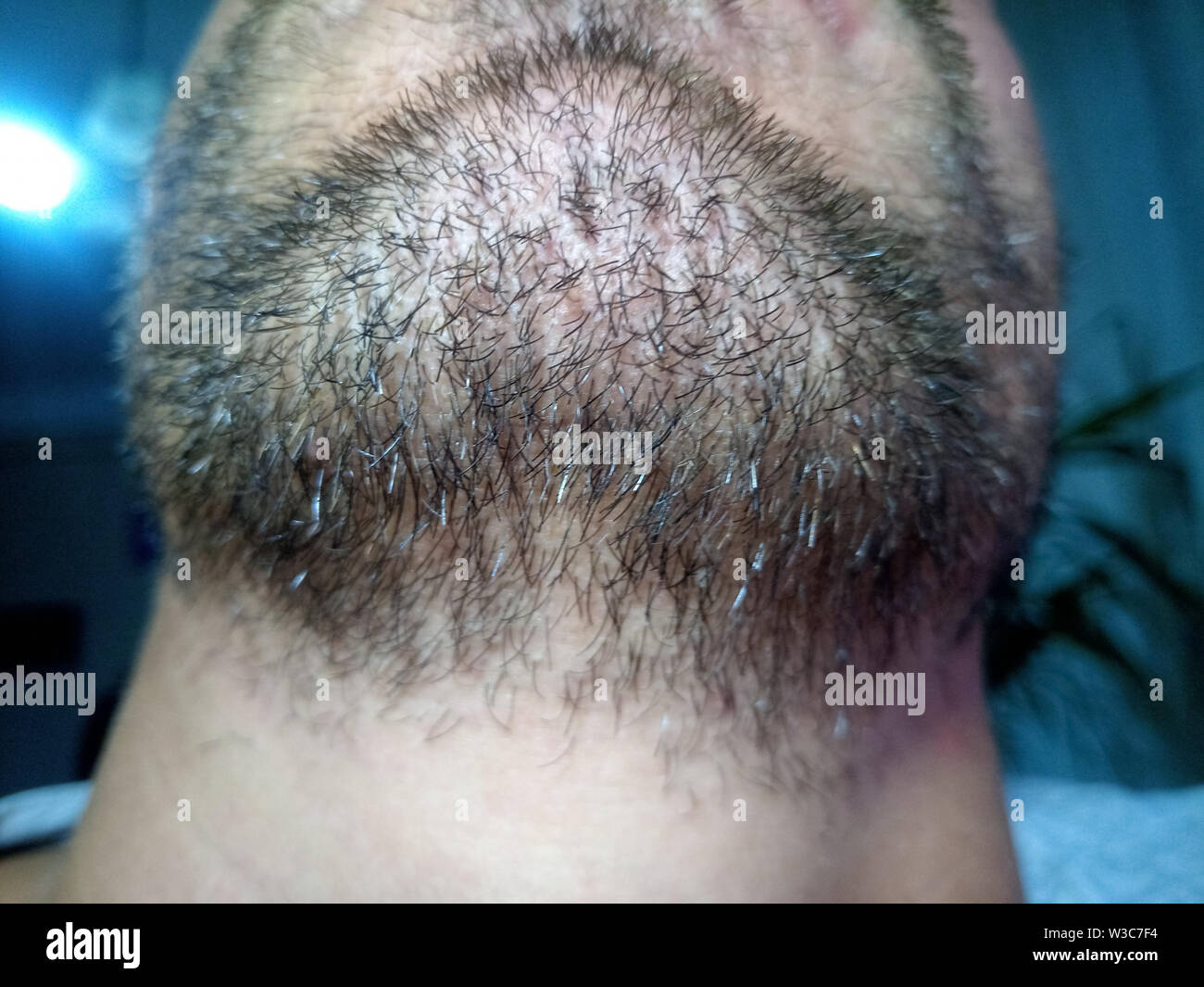 Bearded young man, stubble near. Unshaven more than a week. Hair on the ...