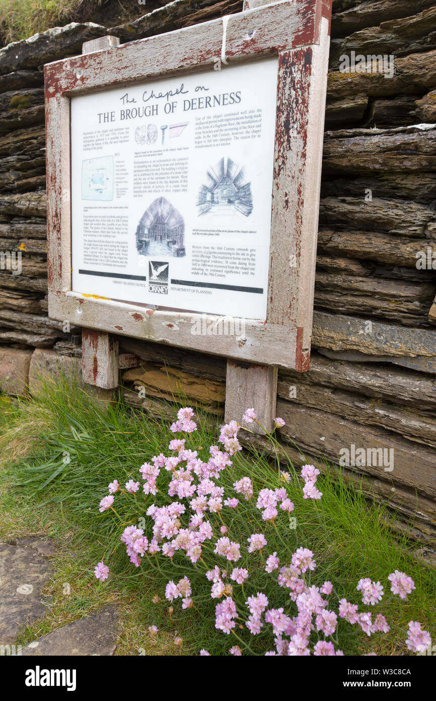 The ancient chapel on the Brough of Deerness, Mull Head, Orkney ...