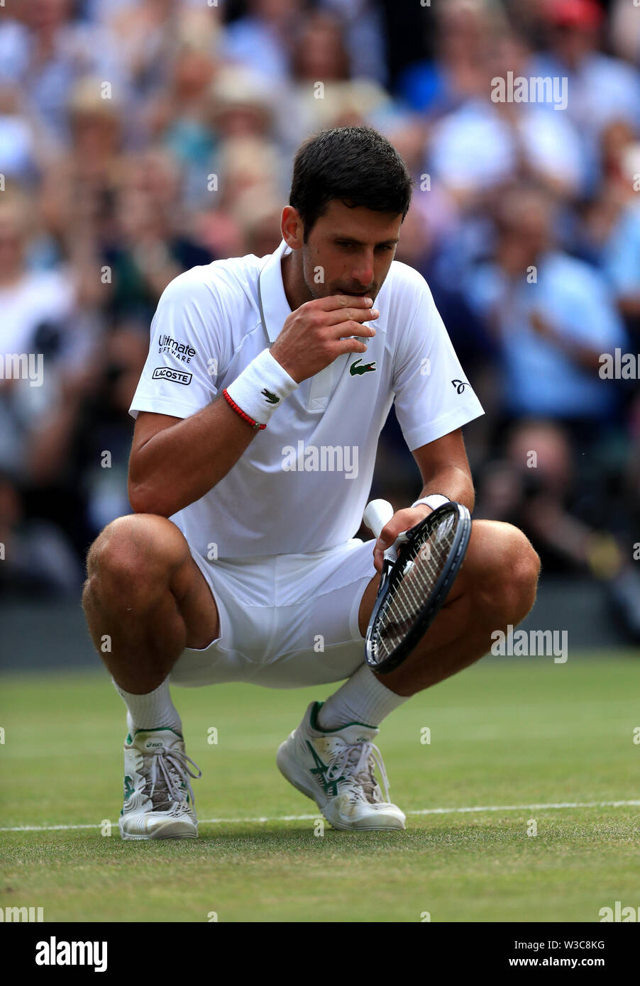 Novak djokovic eating wimbledon grass hi-res stock photography and ...