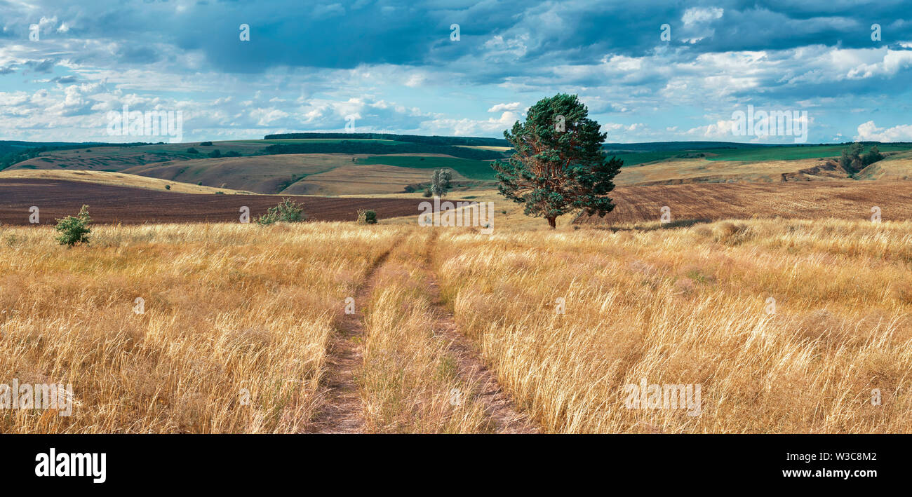 Central Russia agricultural countryside with hills and country road ...
