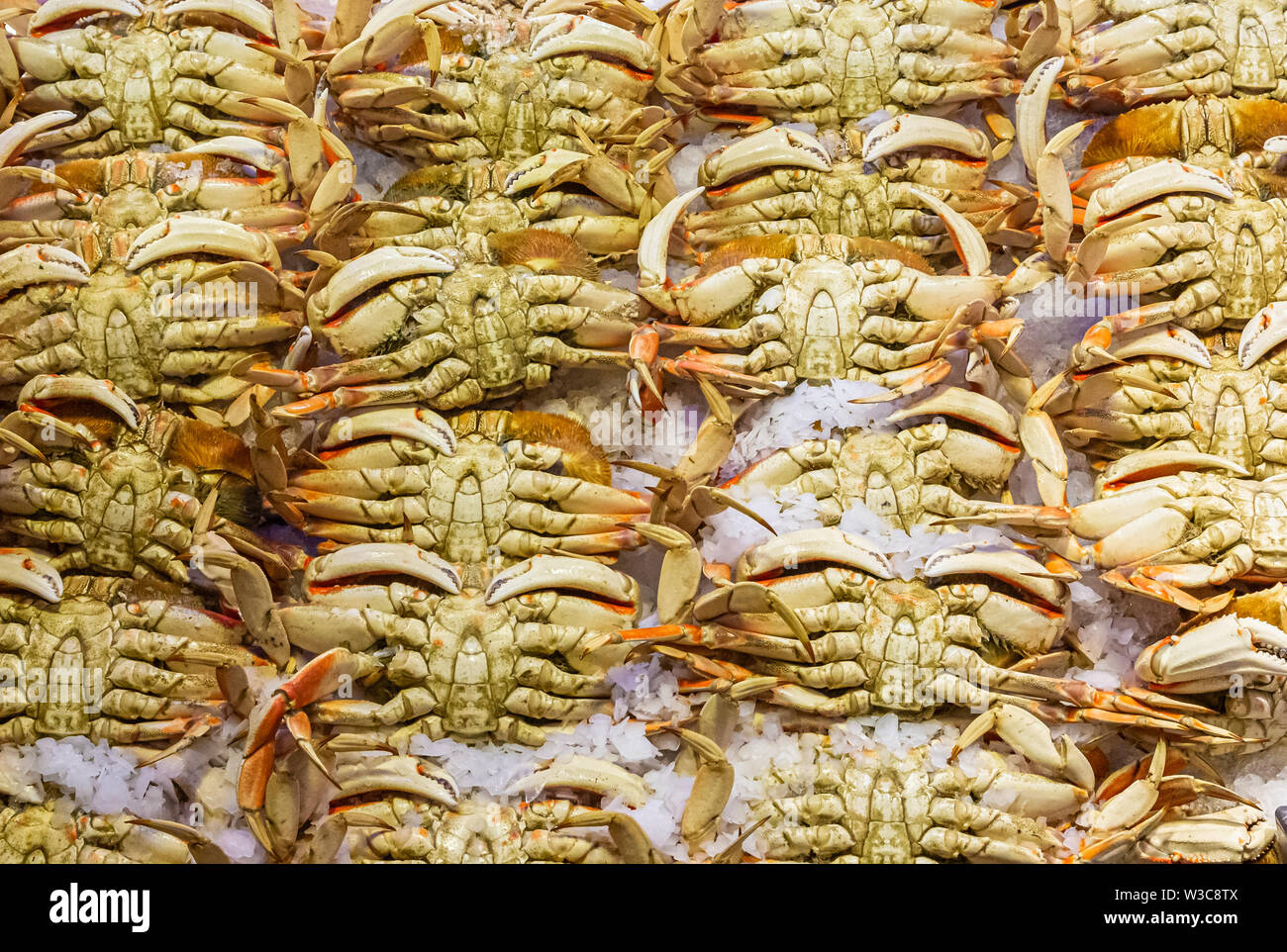 Many Crabs on Ice Stock Photo - Alamy
