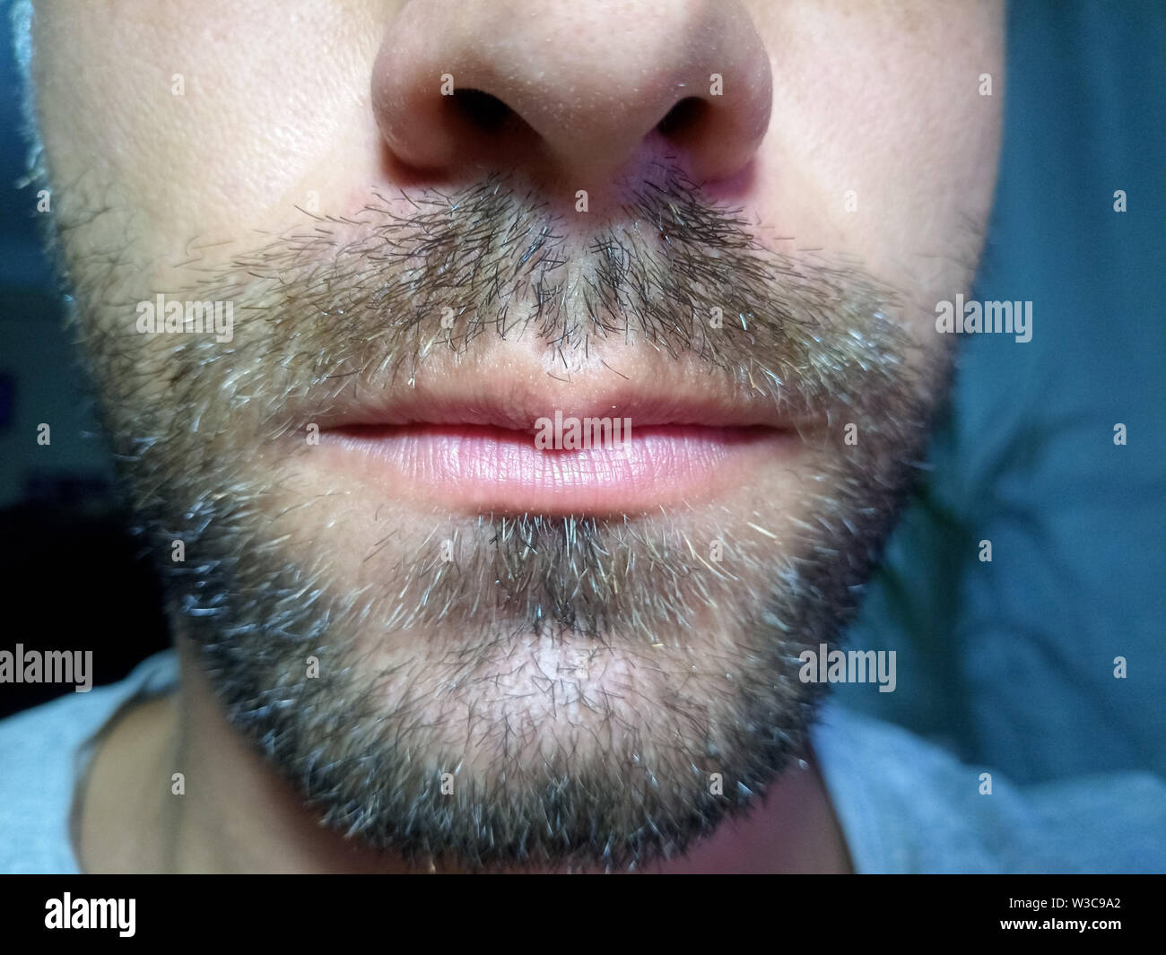 Bearded young man, stubble near. Unshaven more than a week. Hair on the ...