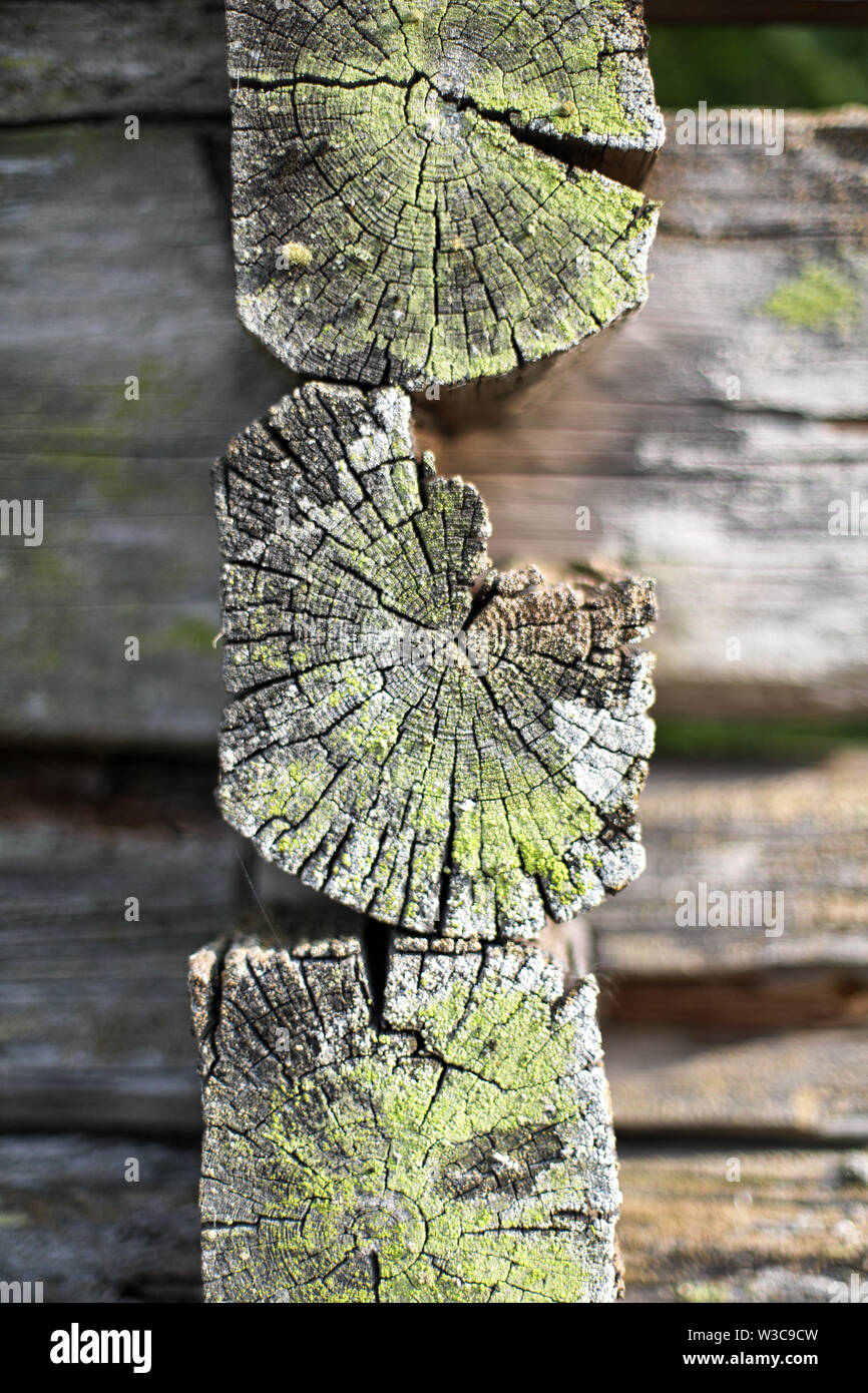 Log joints hi-res stock photography and images - Alamy