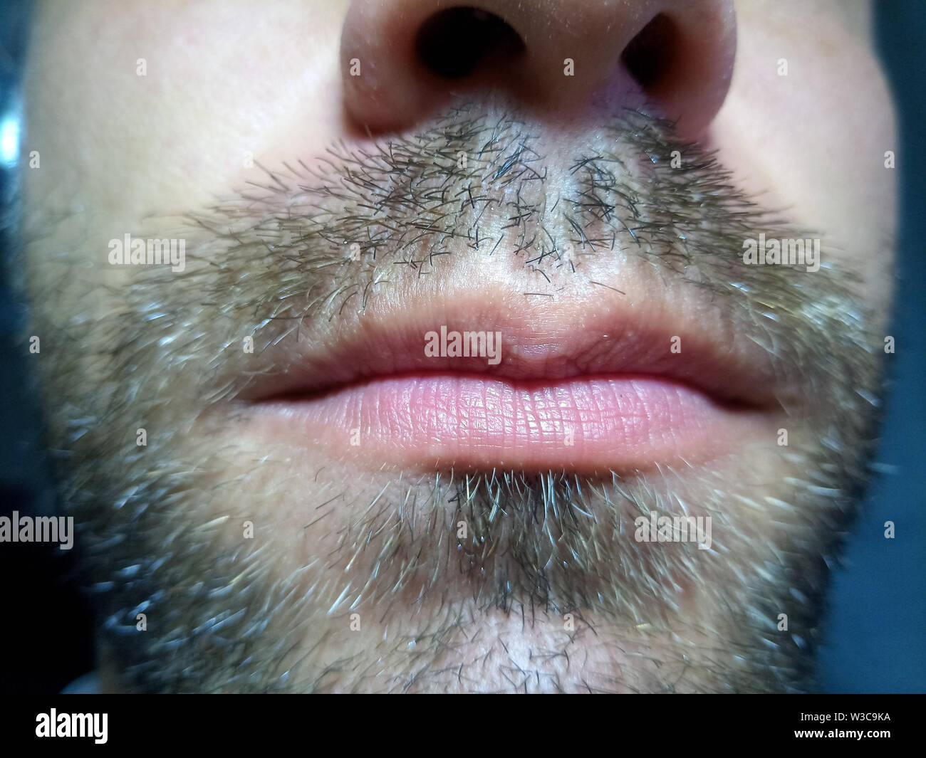 Bearded young man, stubble near. Unshaven more than a week. Hair on the ...