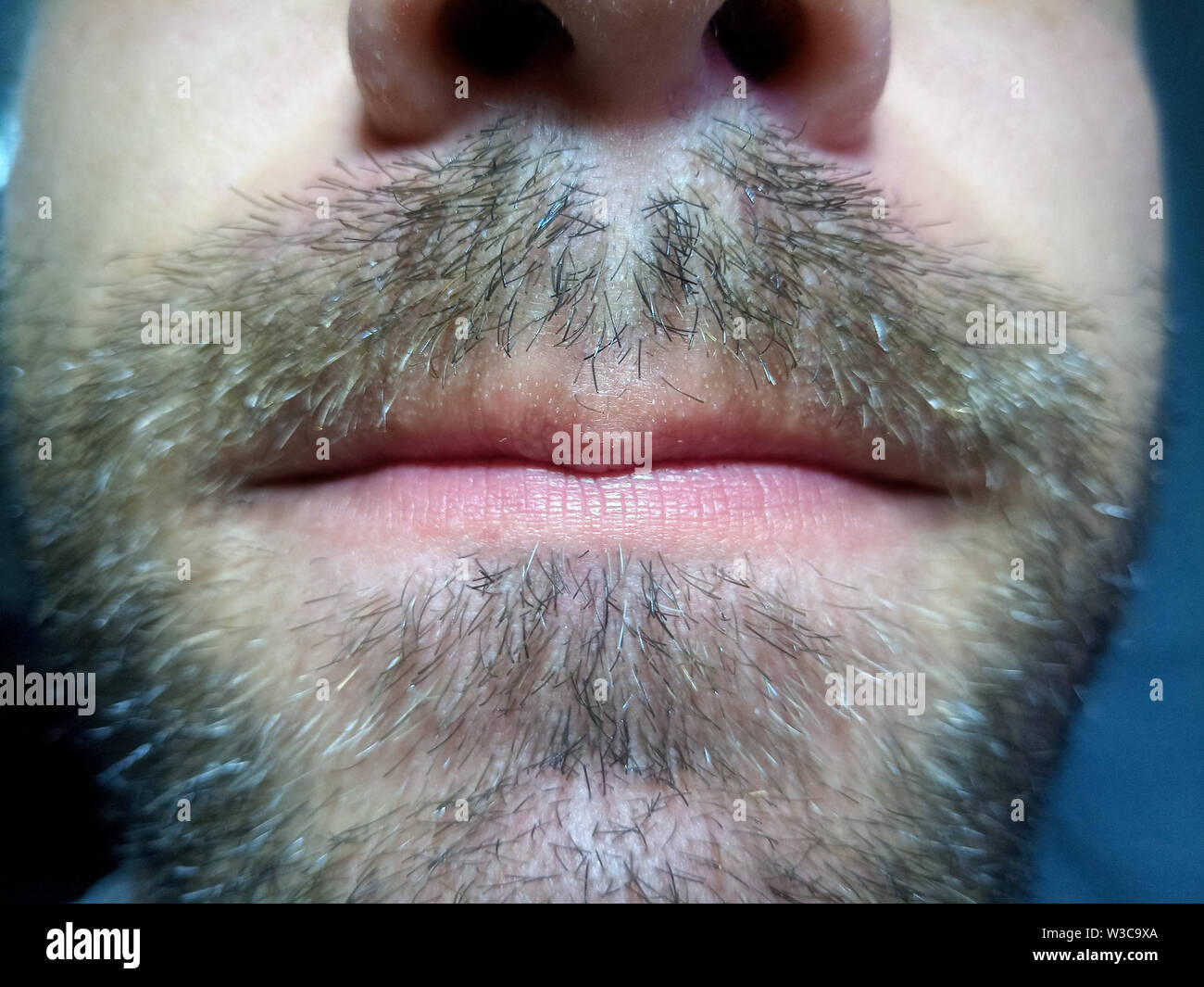 Bearded young man, stubble near. Unshaven more than a week. Hair on the ...