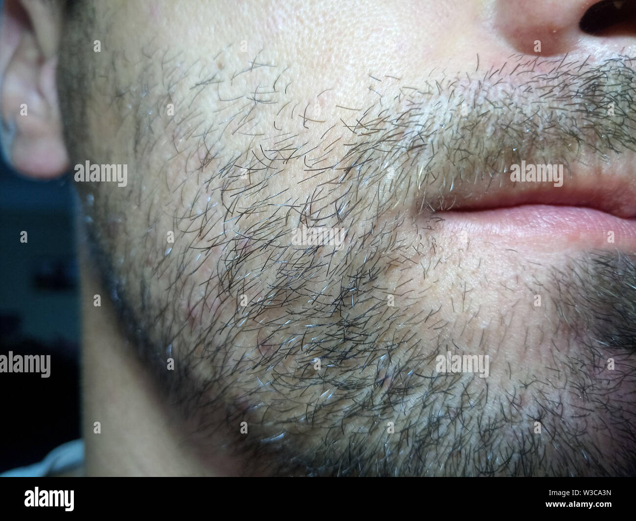 Bearded young man, stubble near. Unshaven more than a week. Hair on the ...