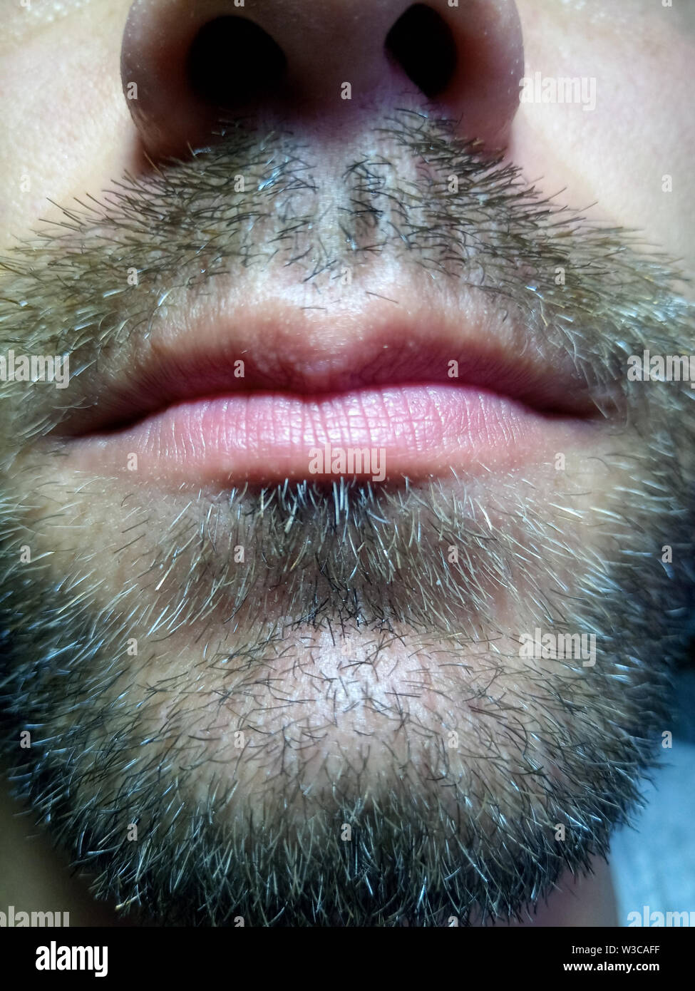 Bearded young man, stubble near. Unshaven more than a week. Hair on the ...