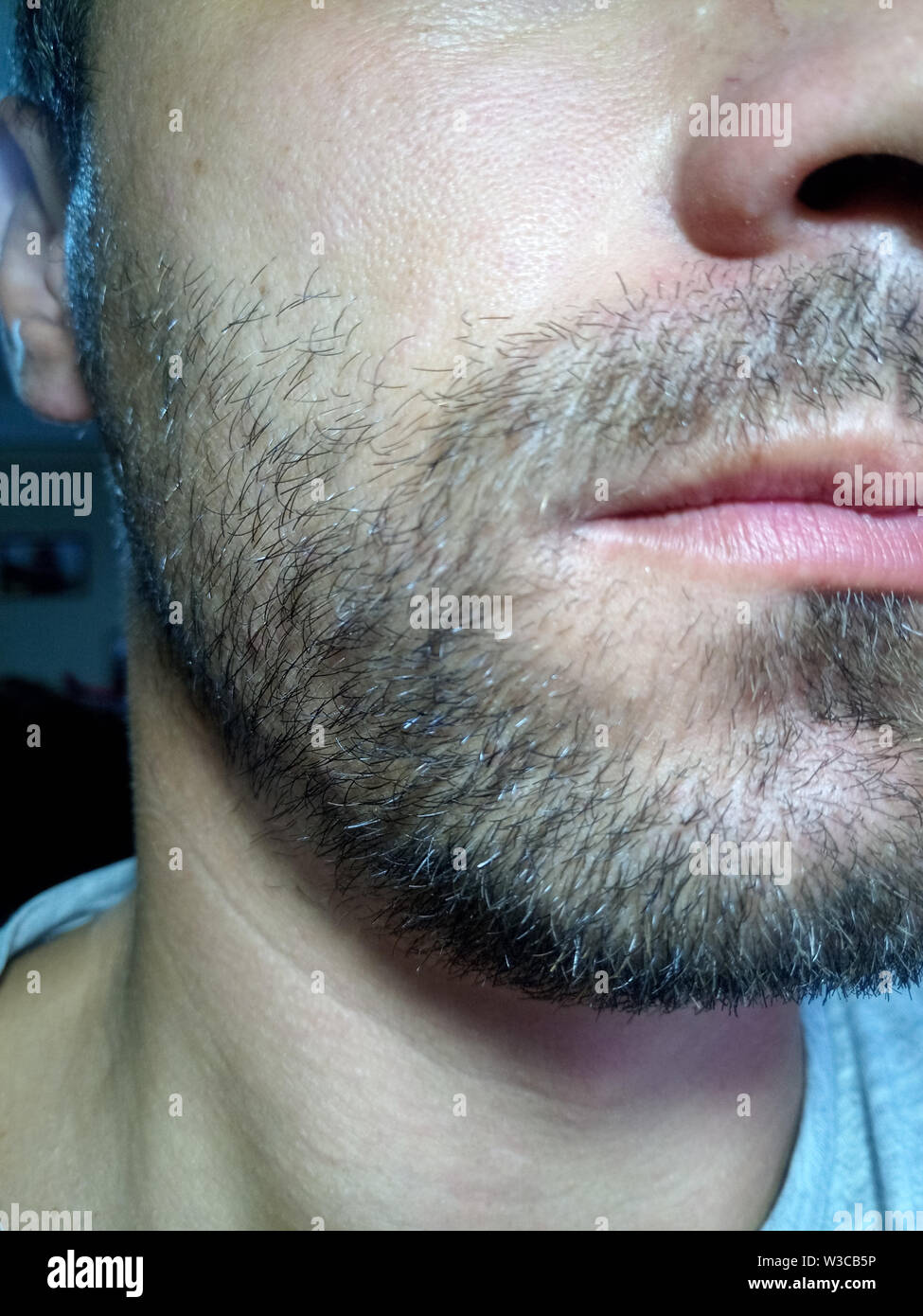 Bearded young man, stubble near. Unshaven more than a week. Hair on the ...