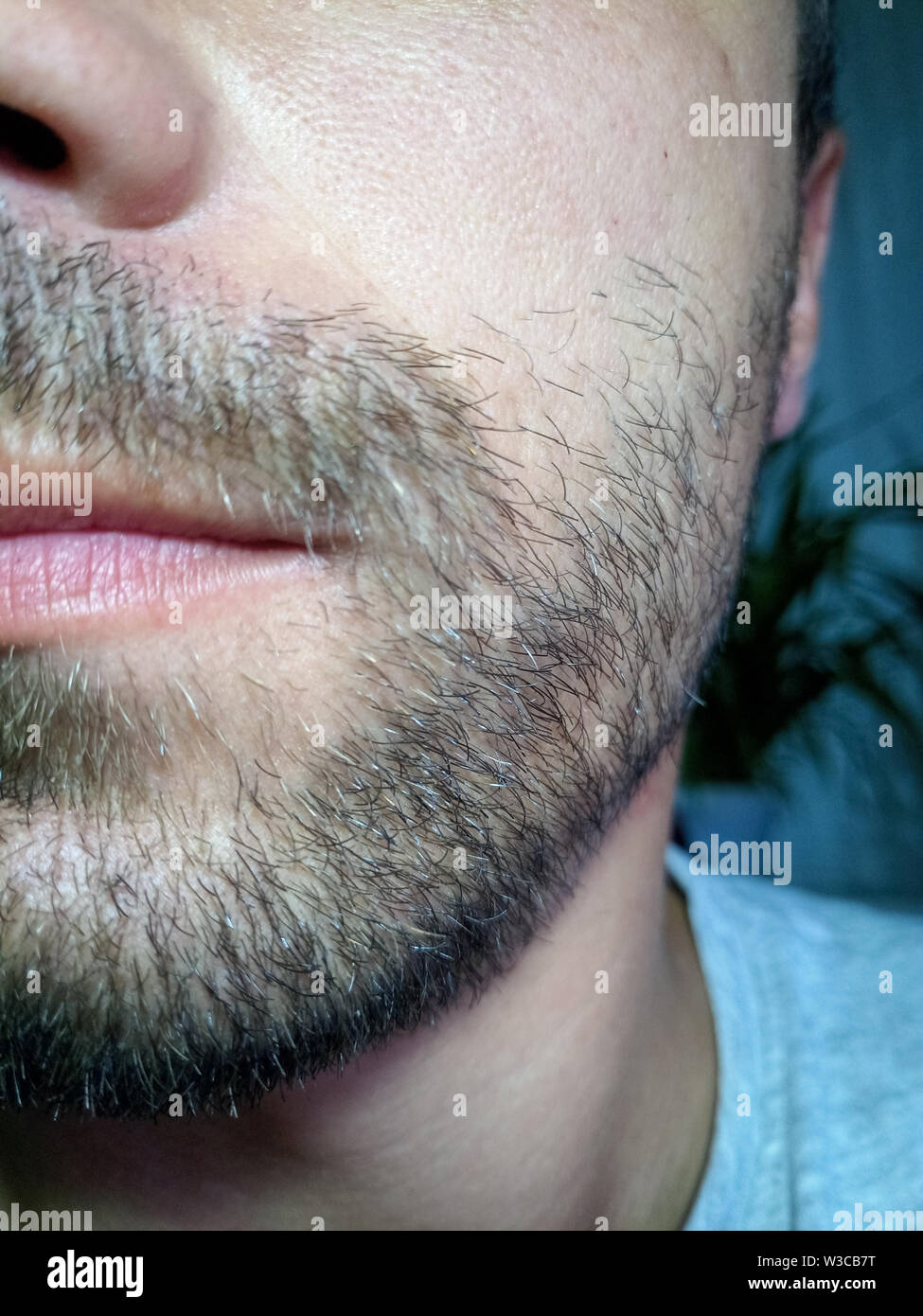 Straggly beard hi-res stock photography and images - Alamy