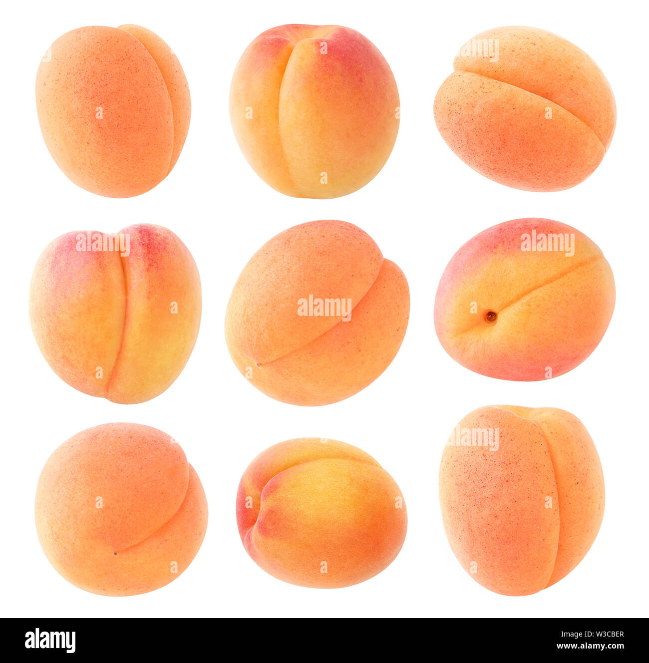 Isolated apricots. Collection of fresh apricot fruits of diferent ...